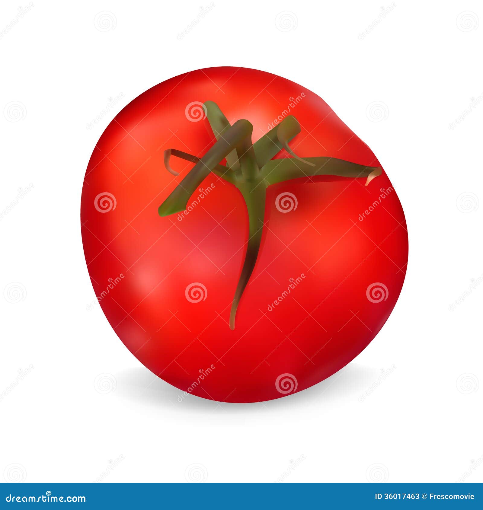Realistic red Tomato. stock vector. Illustration of season - 36017463