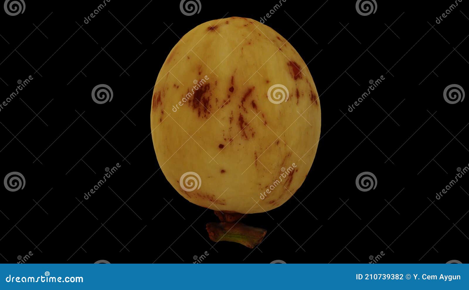 Lanzones Cartoons, Illustrations & Vector Stock Images - 34 Pictures to ...