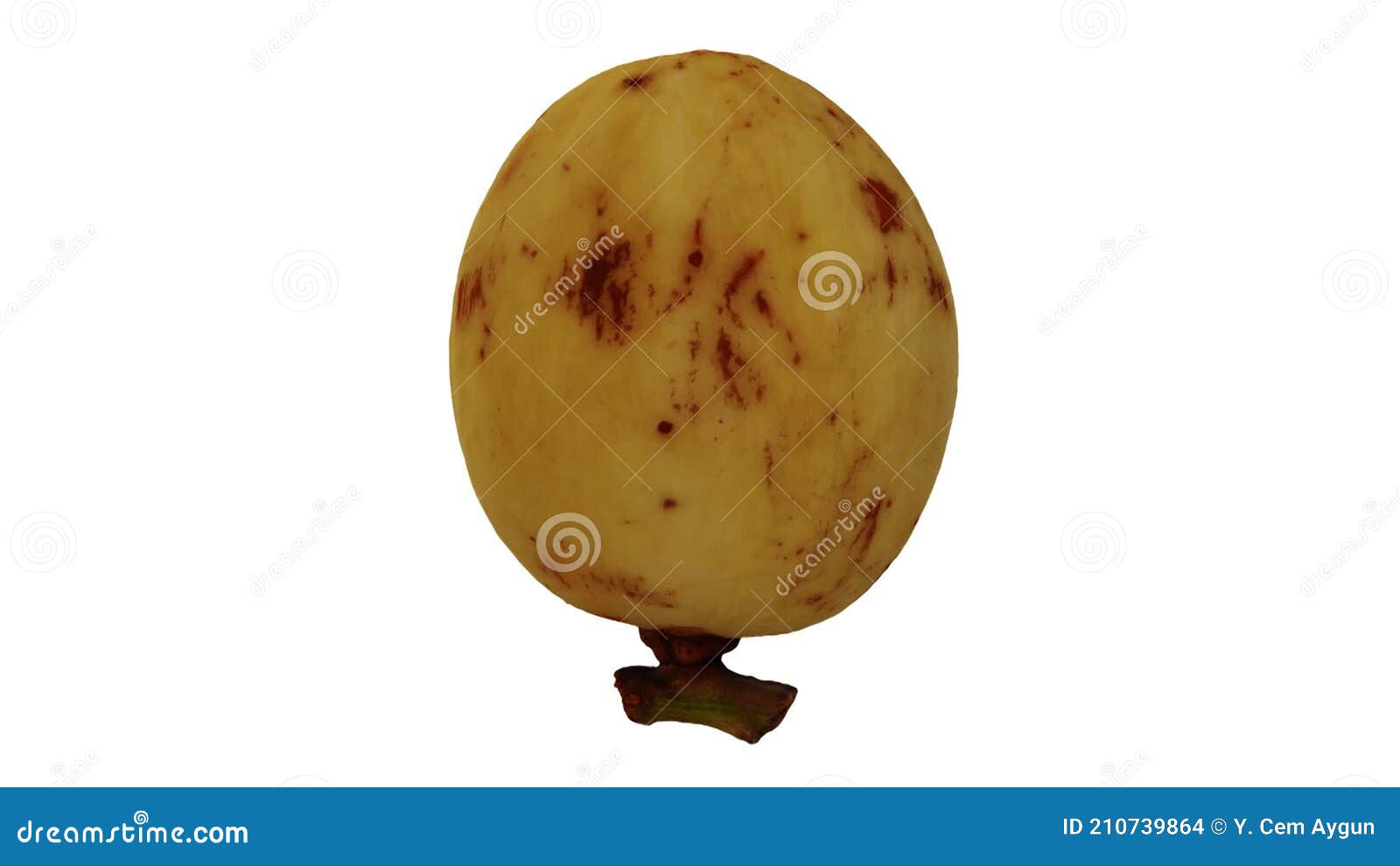 Lanzones Cartoons, Illustrations & Vector Stock Images - 34 Pictures to ...