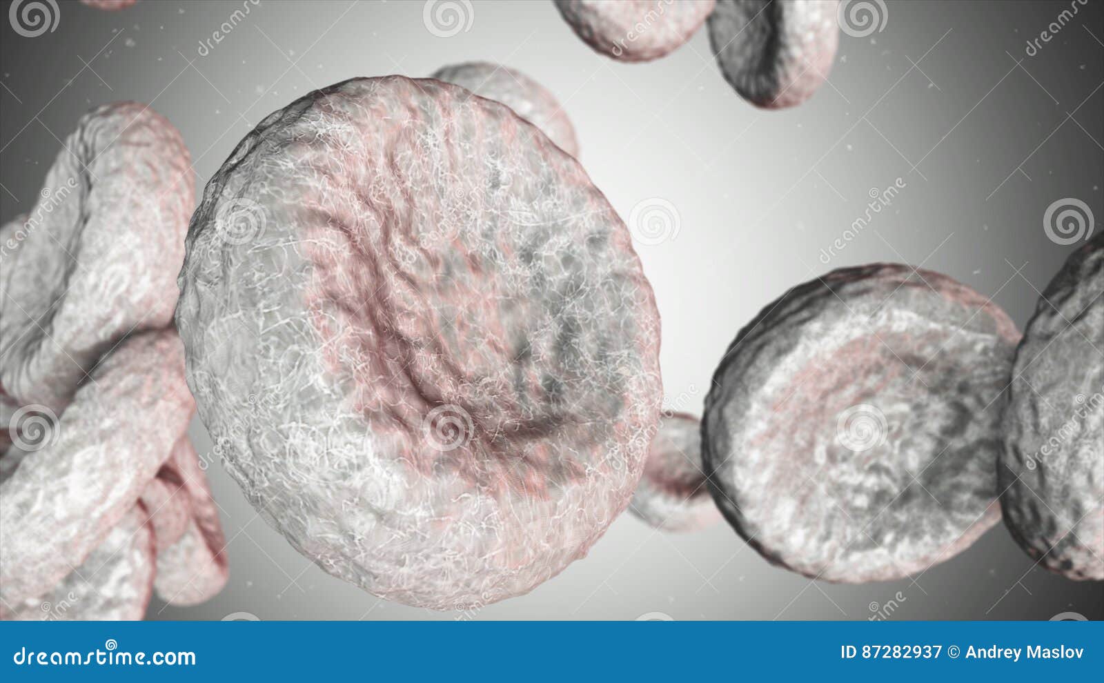 Realistic Rendering of Bacteria - in White Colors Stock Illustration ...
