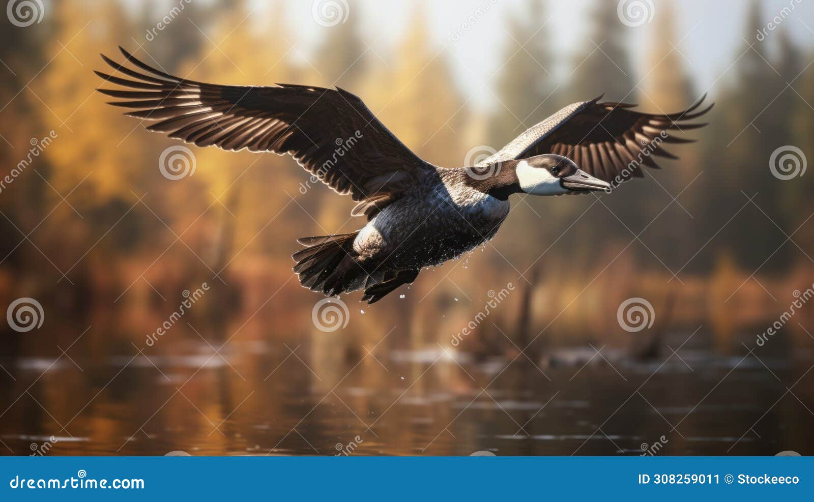 Realistic Rendering of a Common Loon Soaring Over a Lake in Unreal ...
