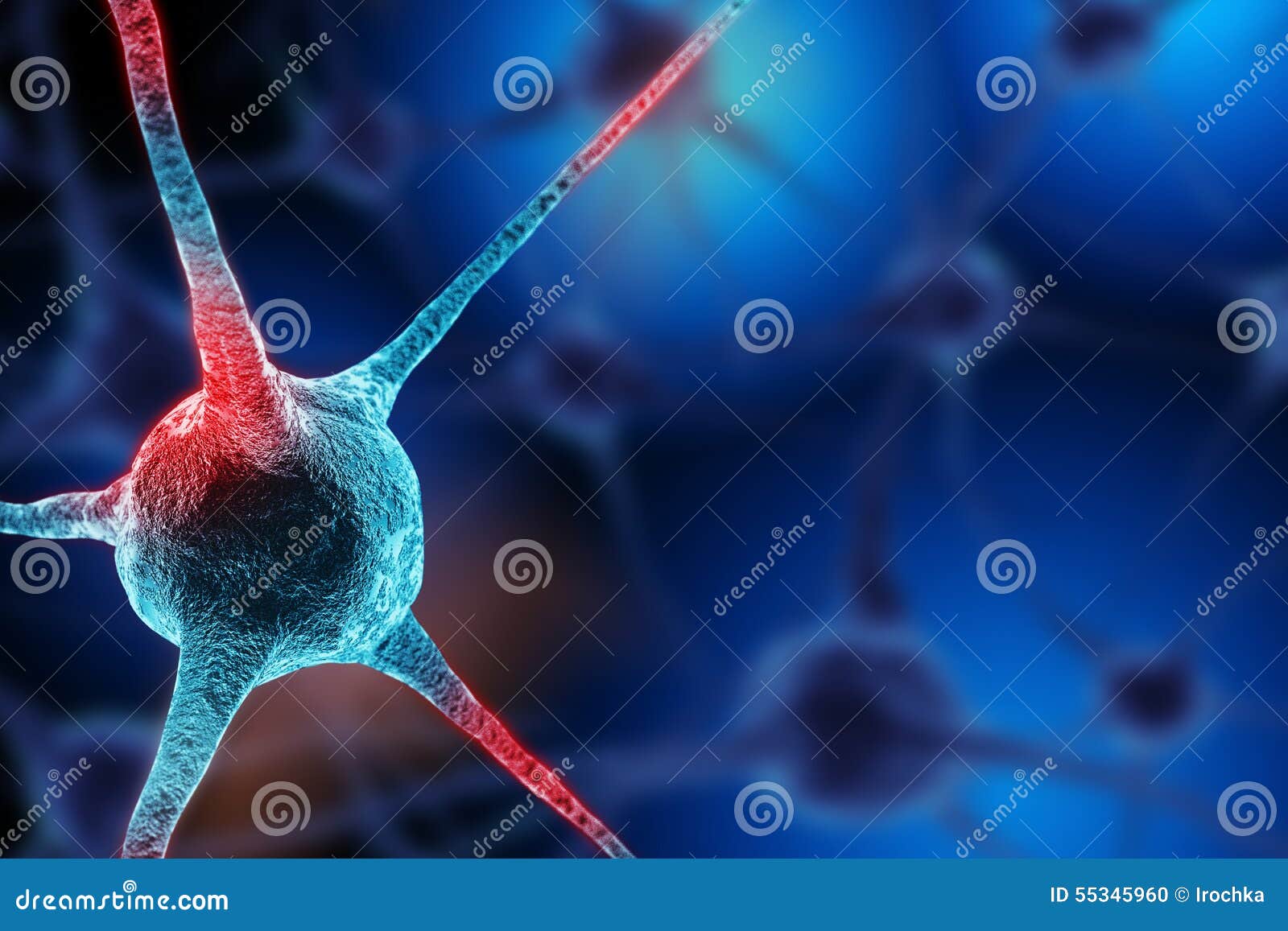Realistic Rendering of Neurone Stock Illustration - Illustration of ...