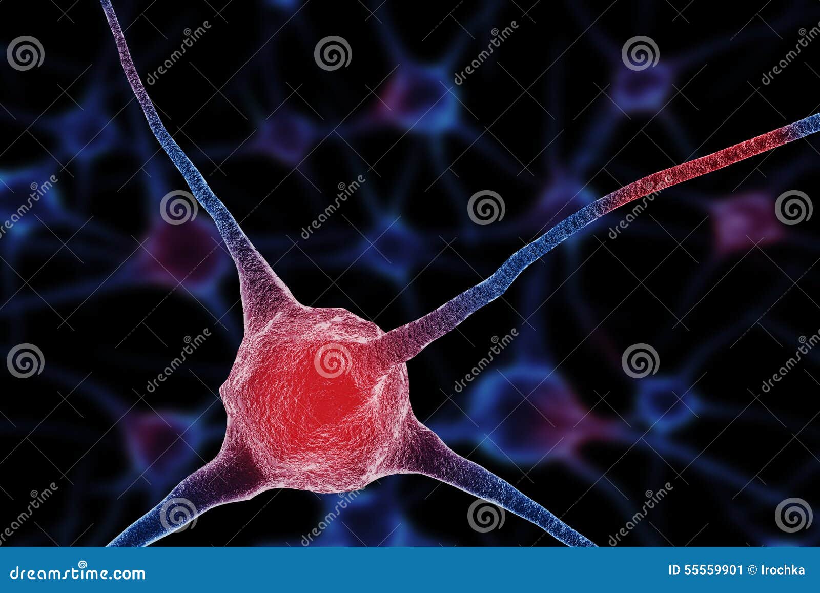 Realistic Rendering of Neurone - in Red Colors Stock Illustration ...
