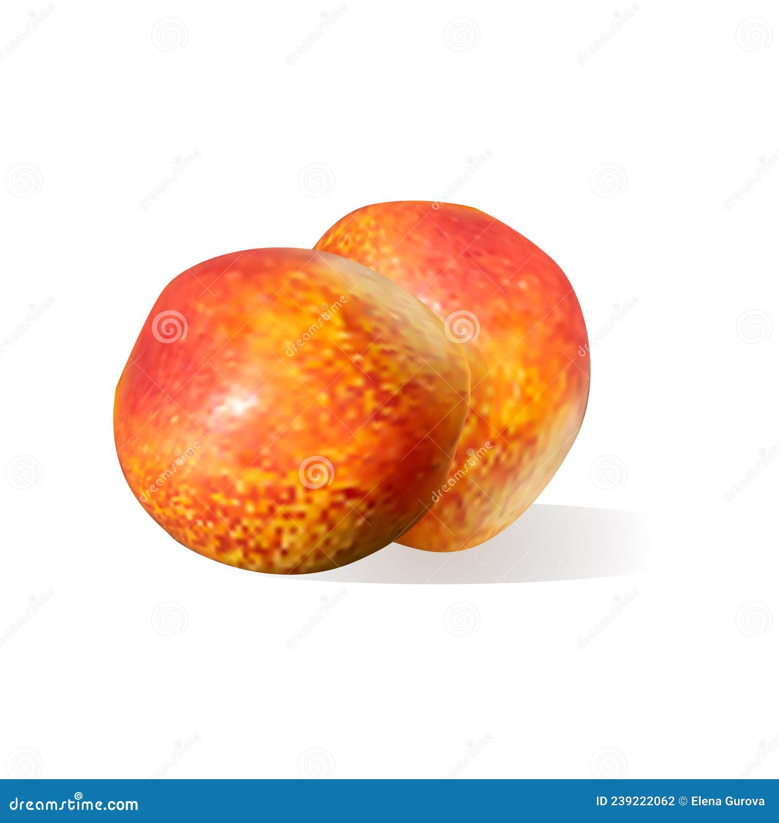 Realistic Ripe Nectarines Fruit on White Background Stock Vector ...