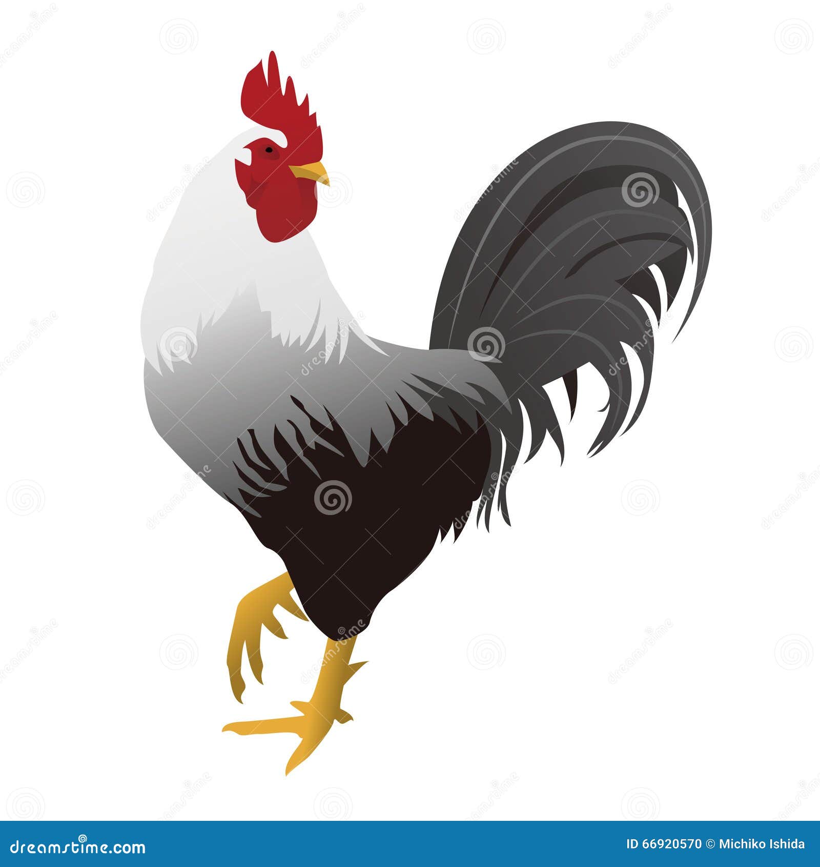 Realistic Rooster Illustration Stock Illustration - Illustration of ...