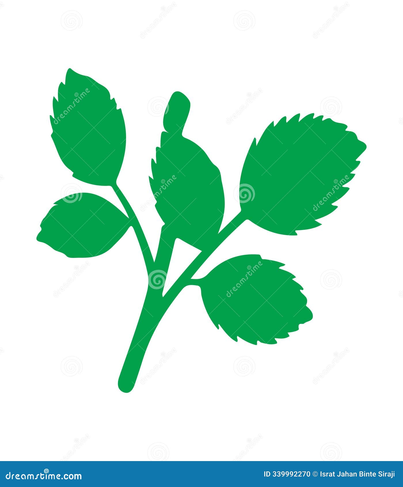 Realistic with Rose Leaves Vector Image Stock Vector - Illustration of ...