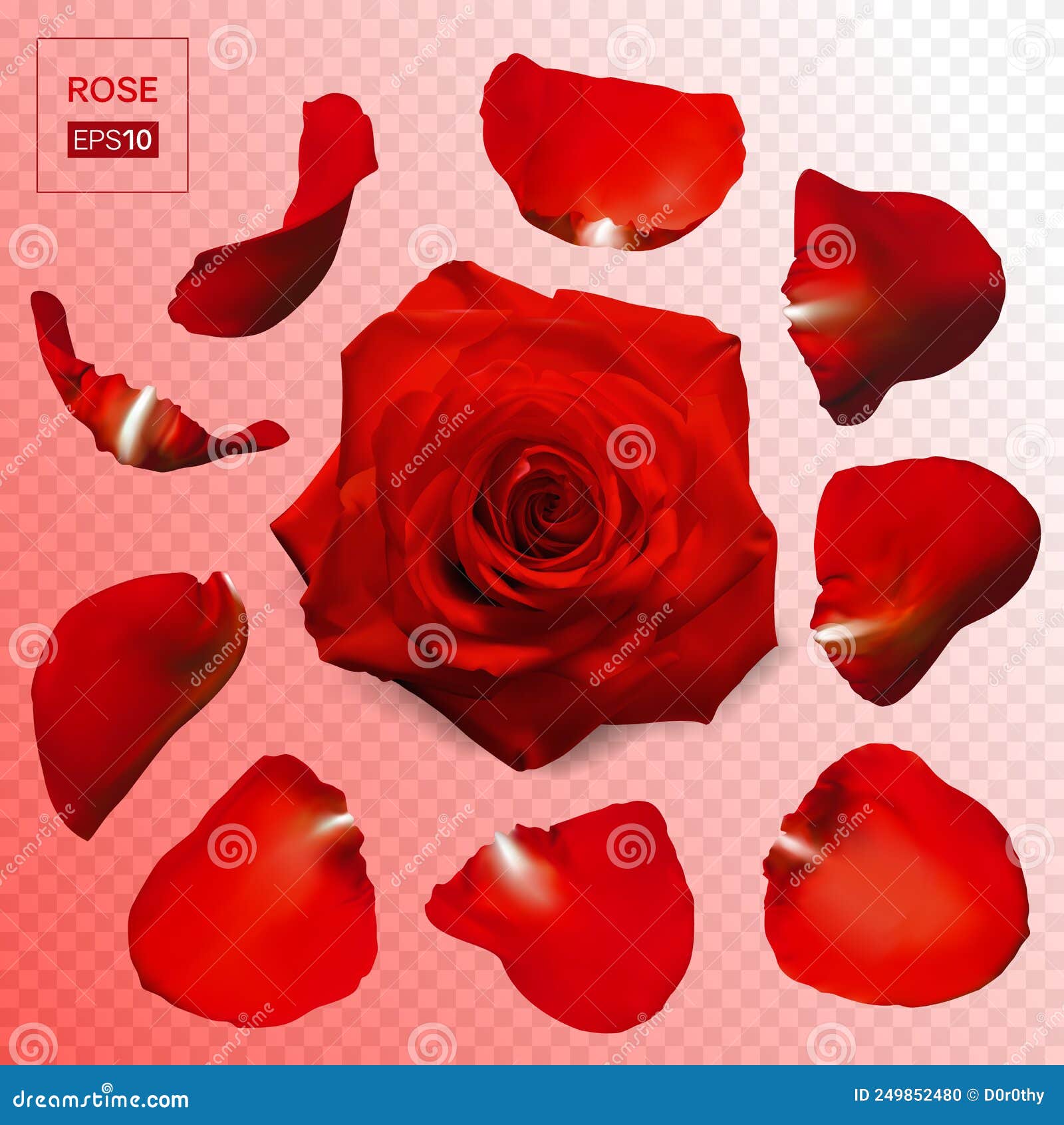 Realistic Rose Petals. Vector Illustration with Mesh Gradients. Stock ...