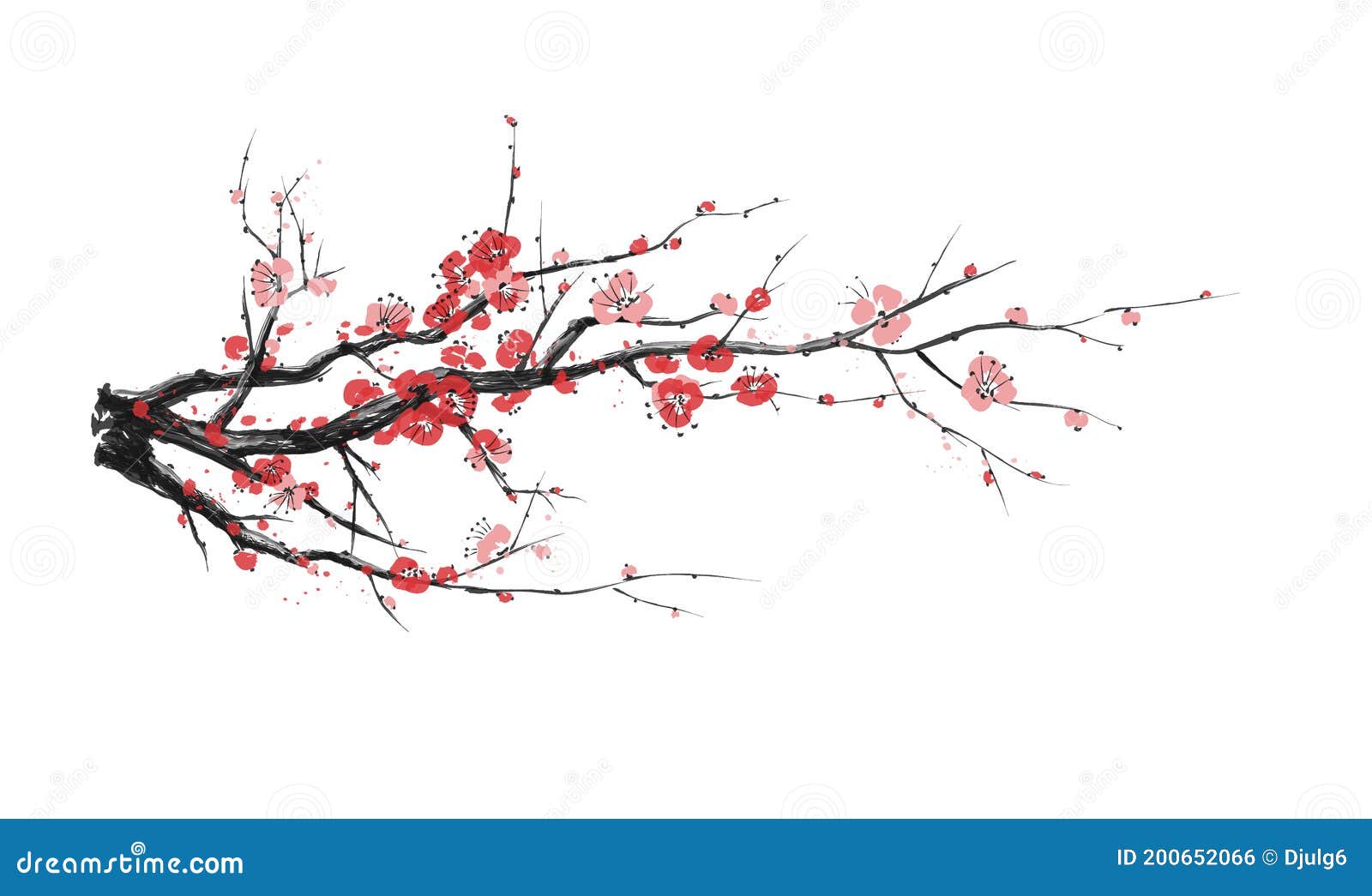 Realistic Sakura Blossom - Japanese Cherry Tree Isolated On White ... Realistic Sakura Blossom - Japanese Cherry Tree Isolated On White ...