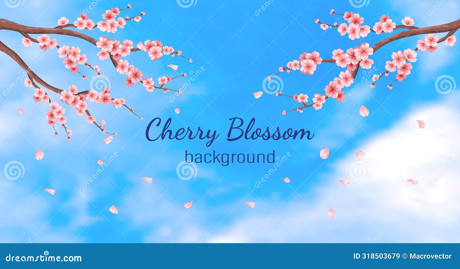 Realistic Sakura Blossom - Japanese Cherry Tree Isolated On White ...