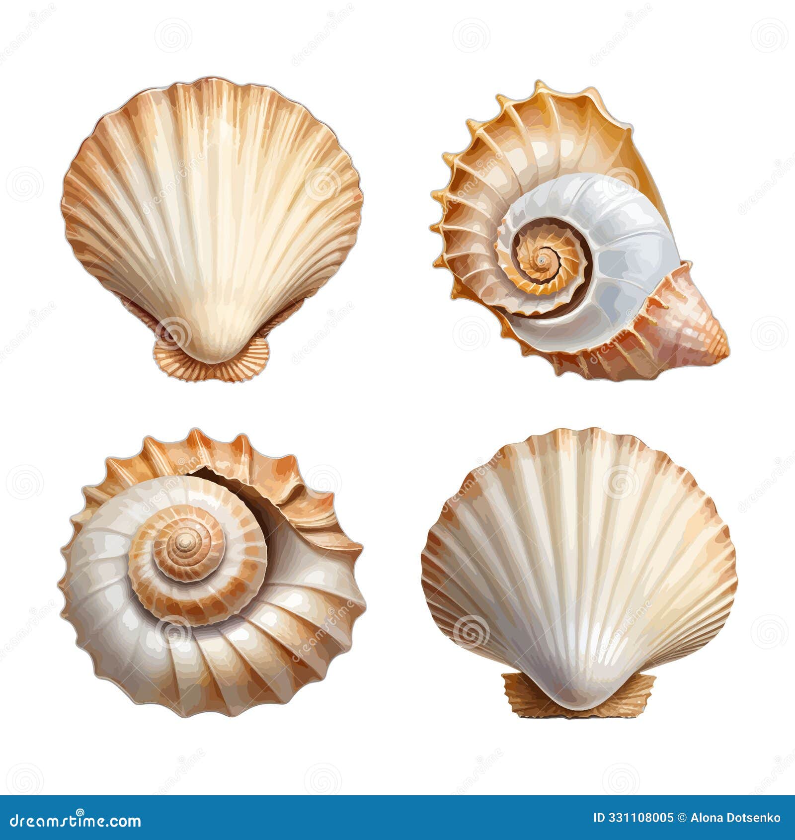 Realistic Seashells Set Vector Illustration Stock Illustration ...