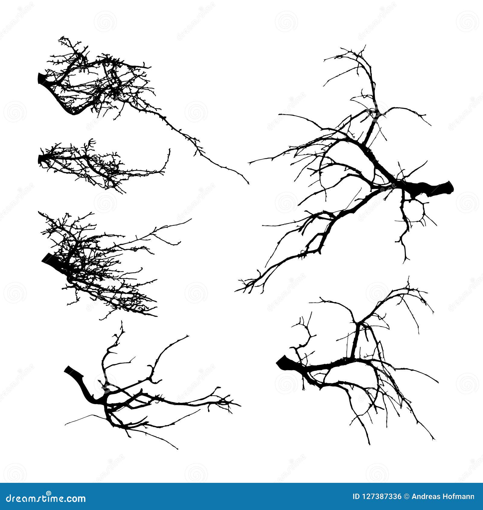 Realistic Set of Tree Branches Silhouette. Vector Illustration. Stock ...