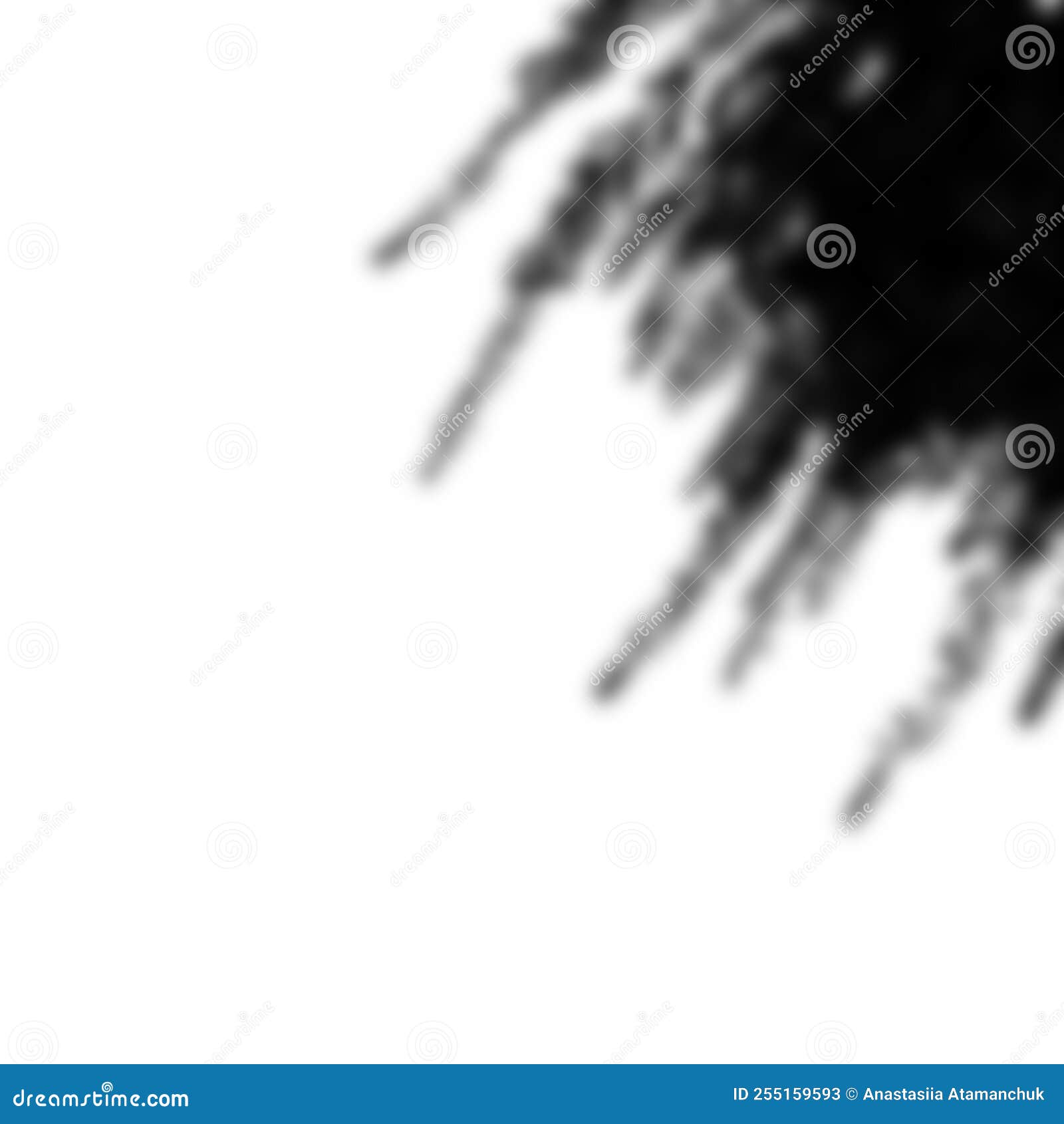 Realistic Shadow from a Palm Tree. Black Shadow from the Leaves of the ...