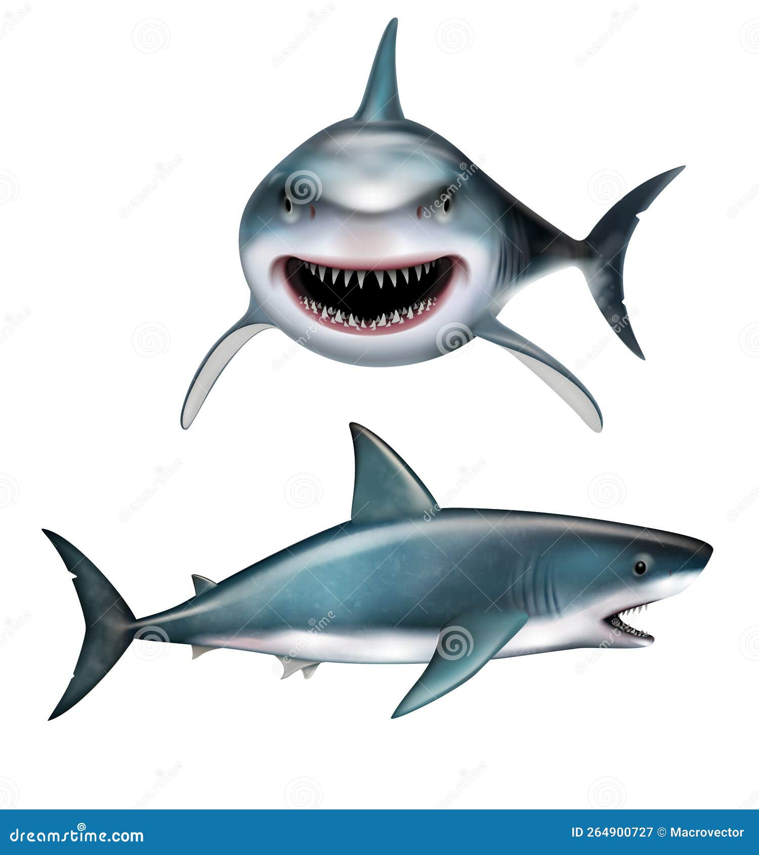 Realistic Shark Coloring Page With Desert Background Royalty-Free ...