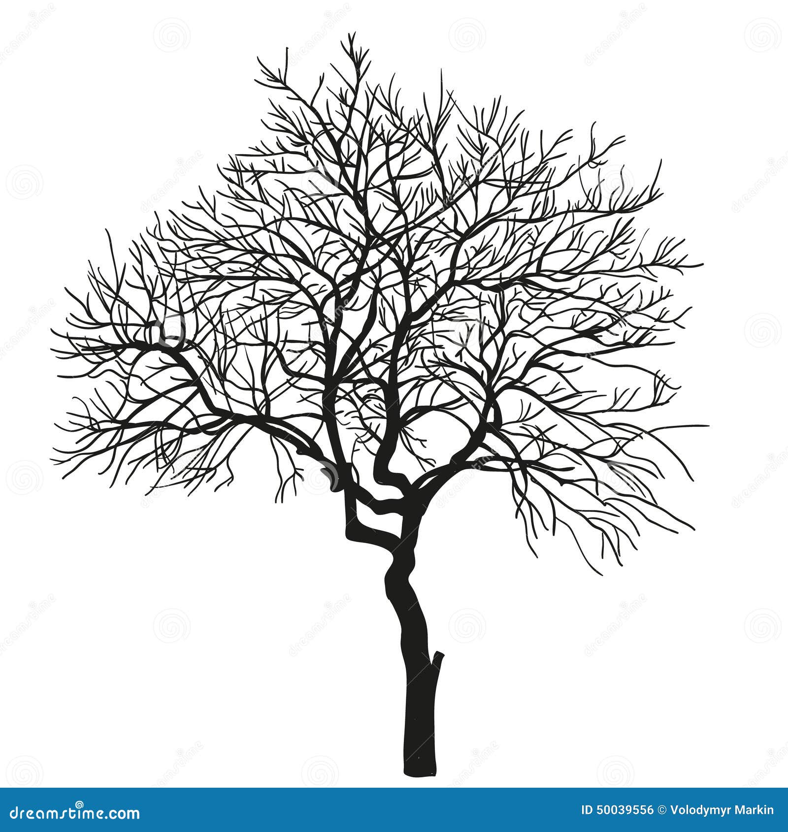 Realistic Silhouette of Tree. Vector Stock Vector - Illustration of ...