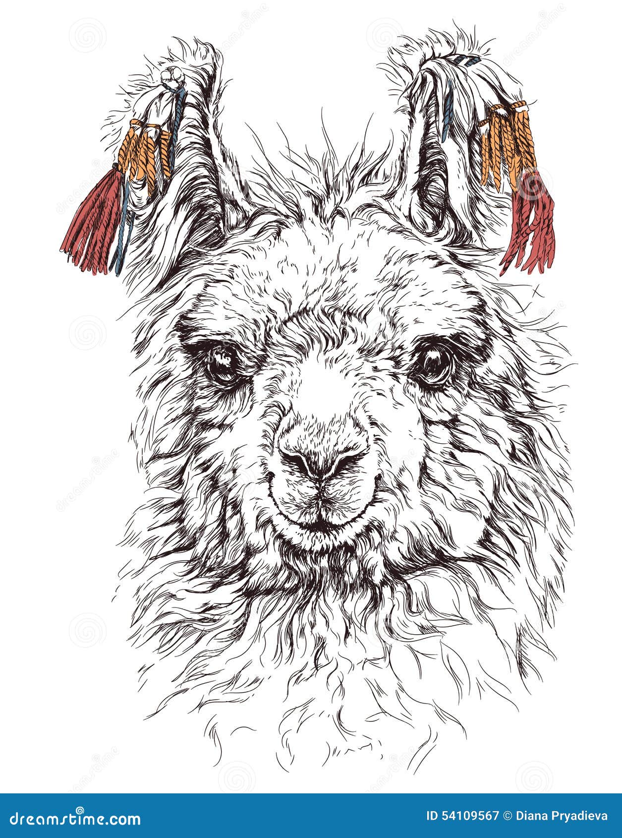 Realistic Sketch of LAMA Alpaca, on White Stock Vector - Illustration ...