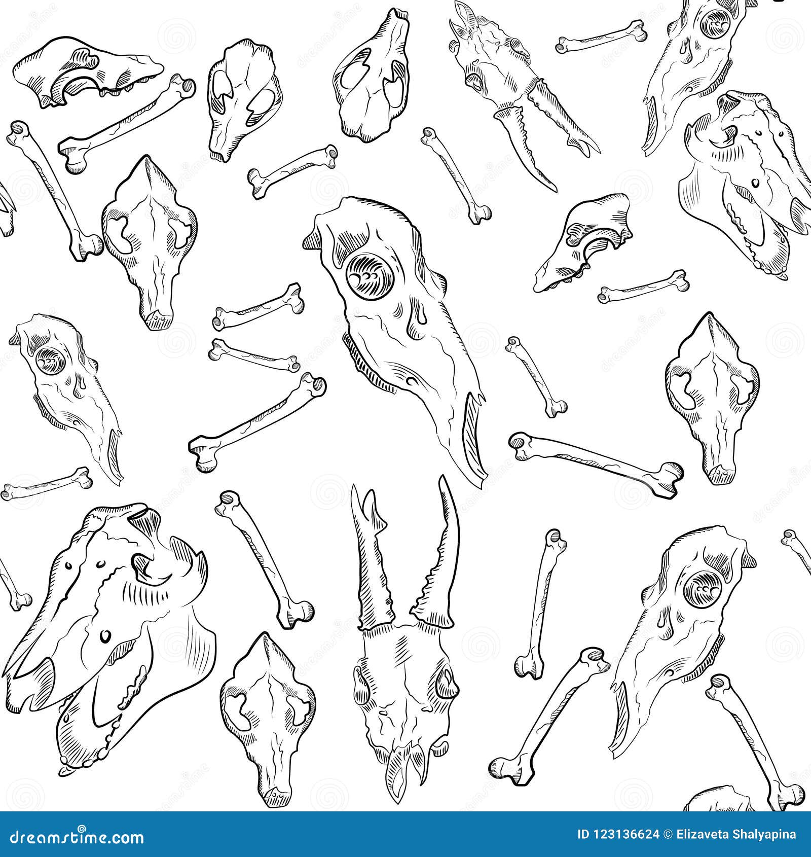 Realistic Skulls of Animals. Stock Vector - Illustration of cartoon ...