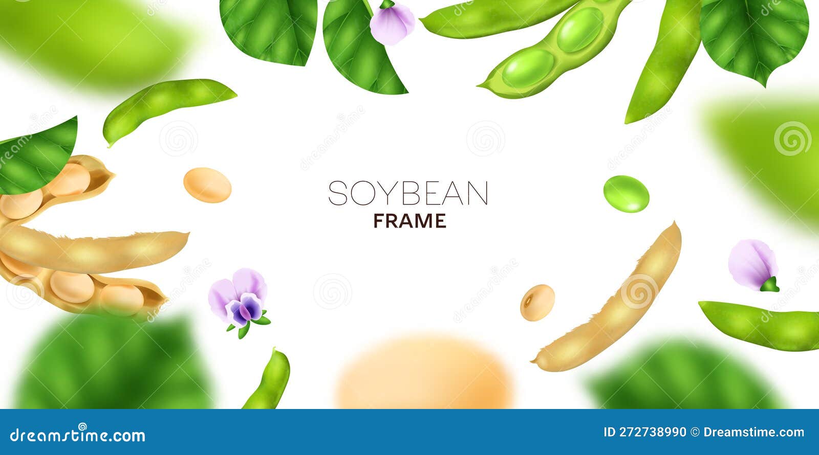 Realistic Soybean Frame stock illustration. Illustration of food ...