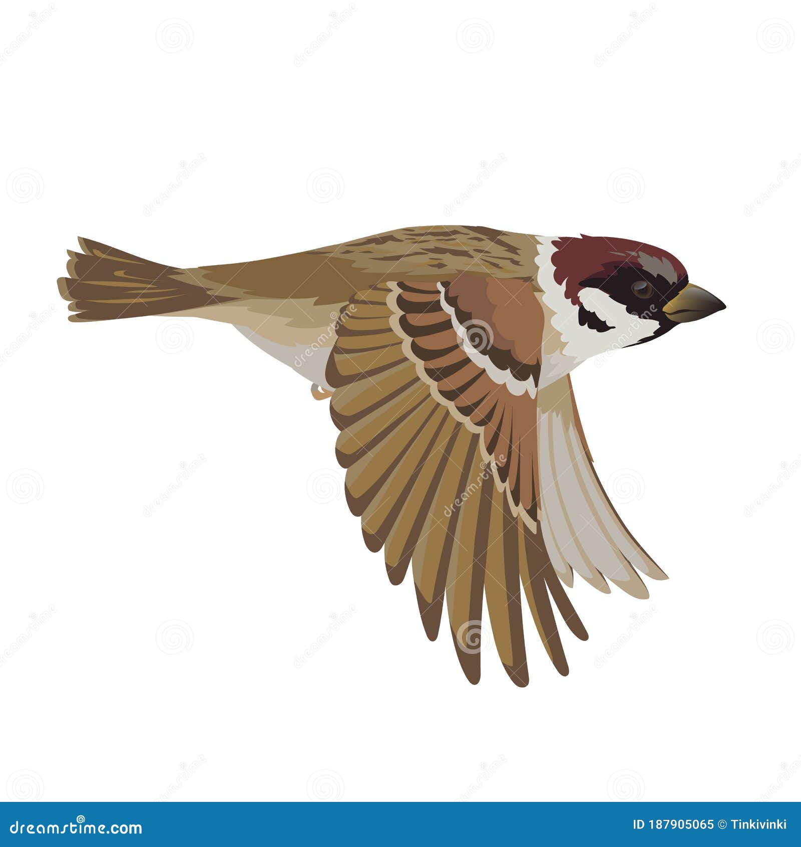 Realistic Sparrow Flying. Monochrome Vector Illustration Of Black ... Realistic Sparrow Flying. Monochrome Vector Illustration Of Black ...