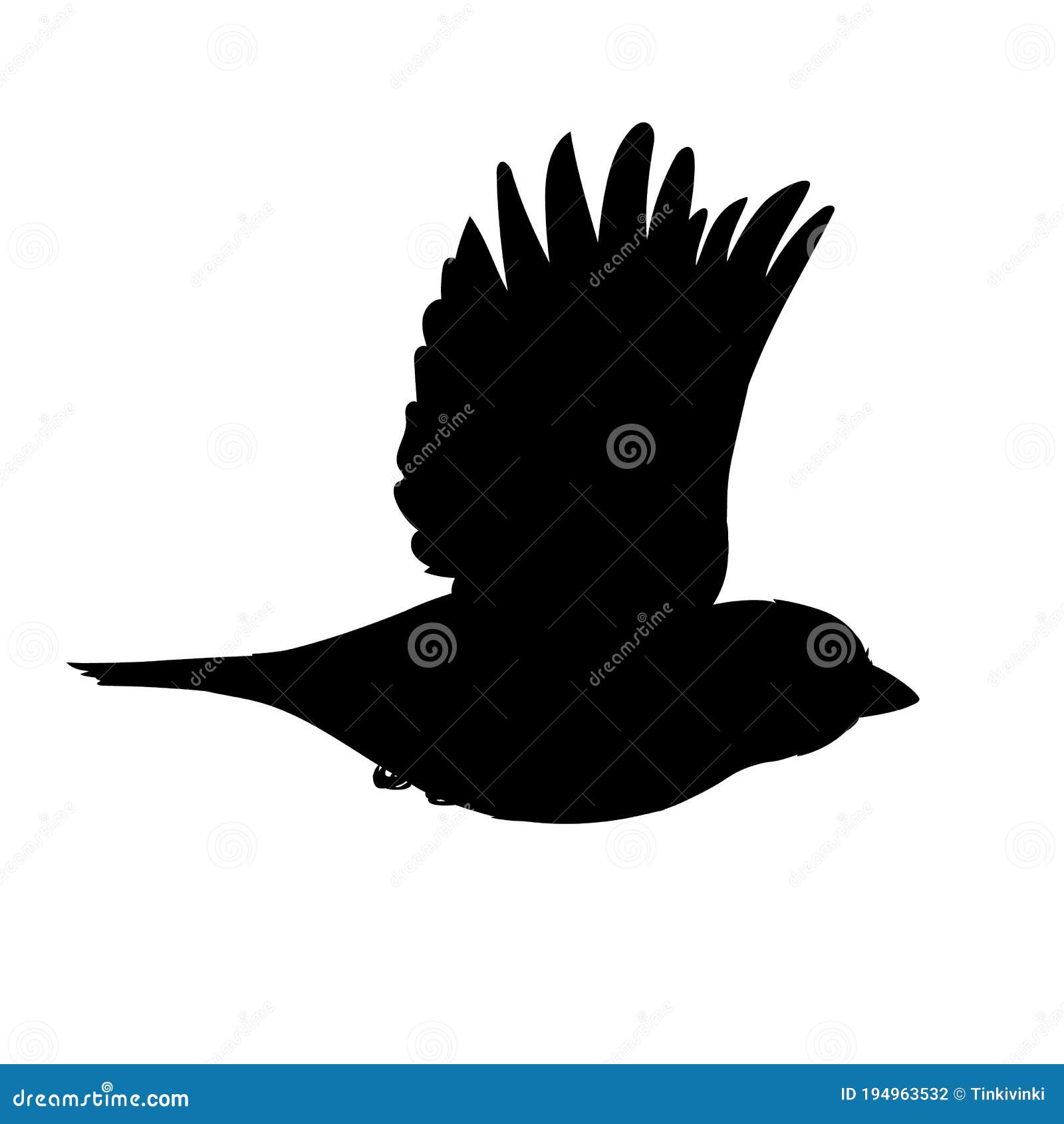 Realistic Sparrow Flying. Monochrome Vector Illustration Of Black ... Realistic Sparrow Flying. Monochrome Vector Illustration Of Black ...