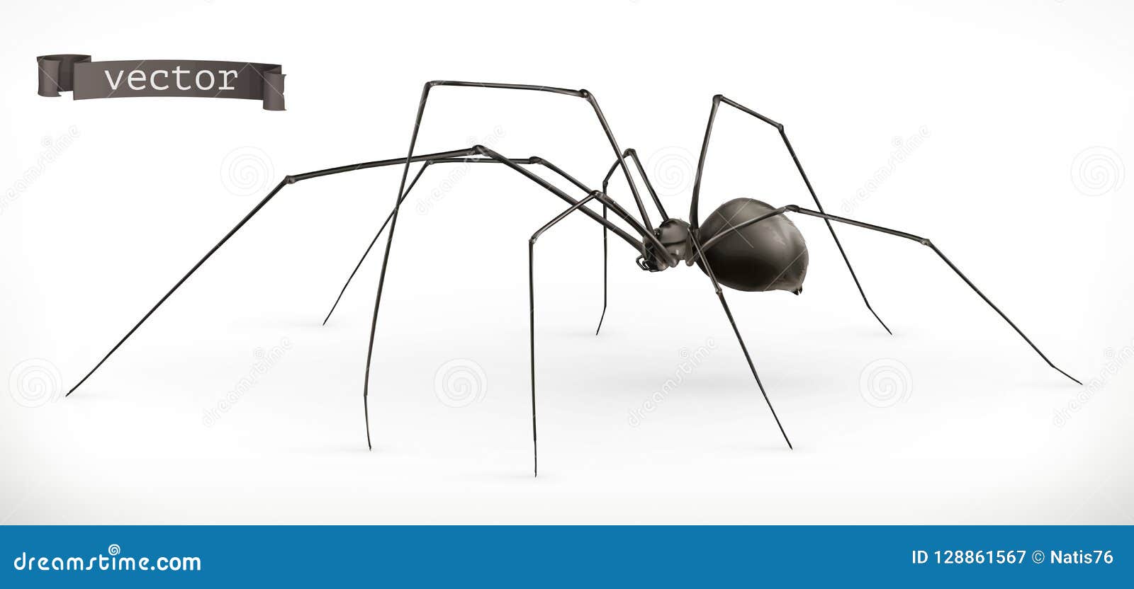 Realistic Spider, Spinner, Bug And Other Vector Elements. Set Of Insect ...