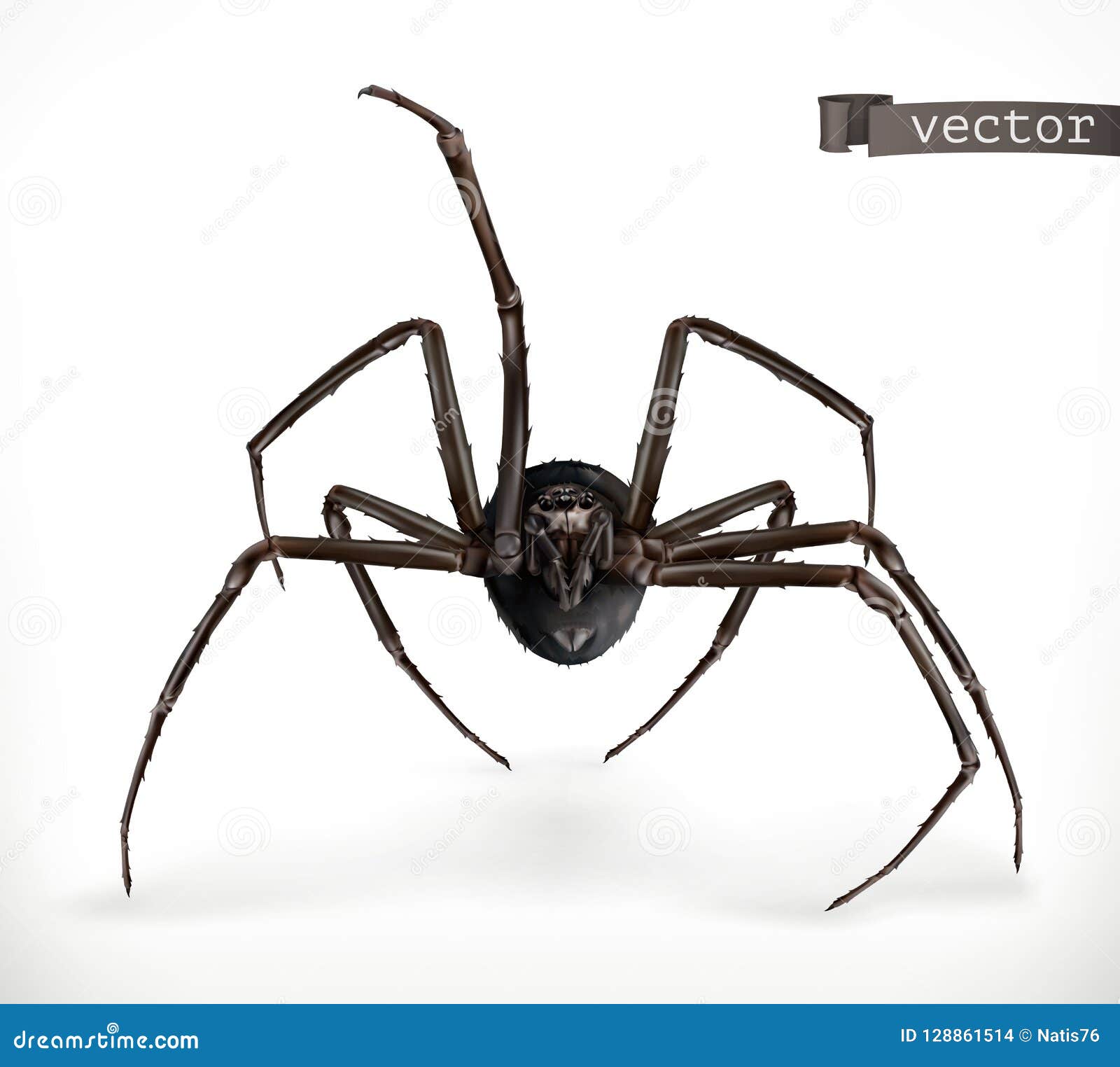 Realistic Spider, Spinner, Bug And Other Vector Elements. Set Of Insect ...