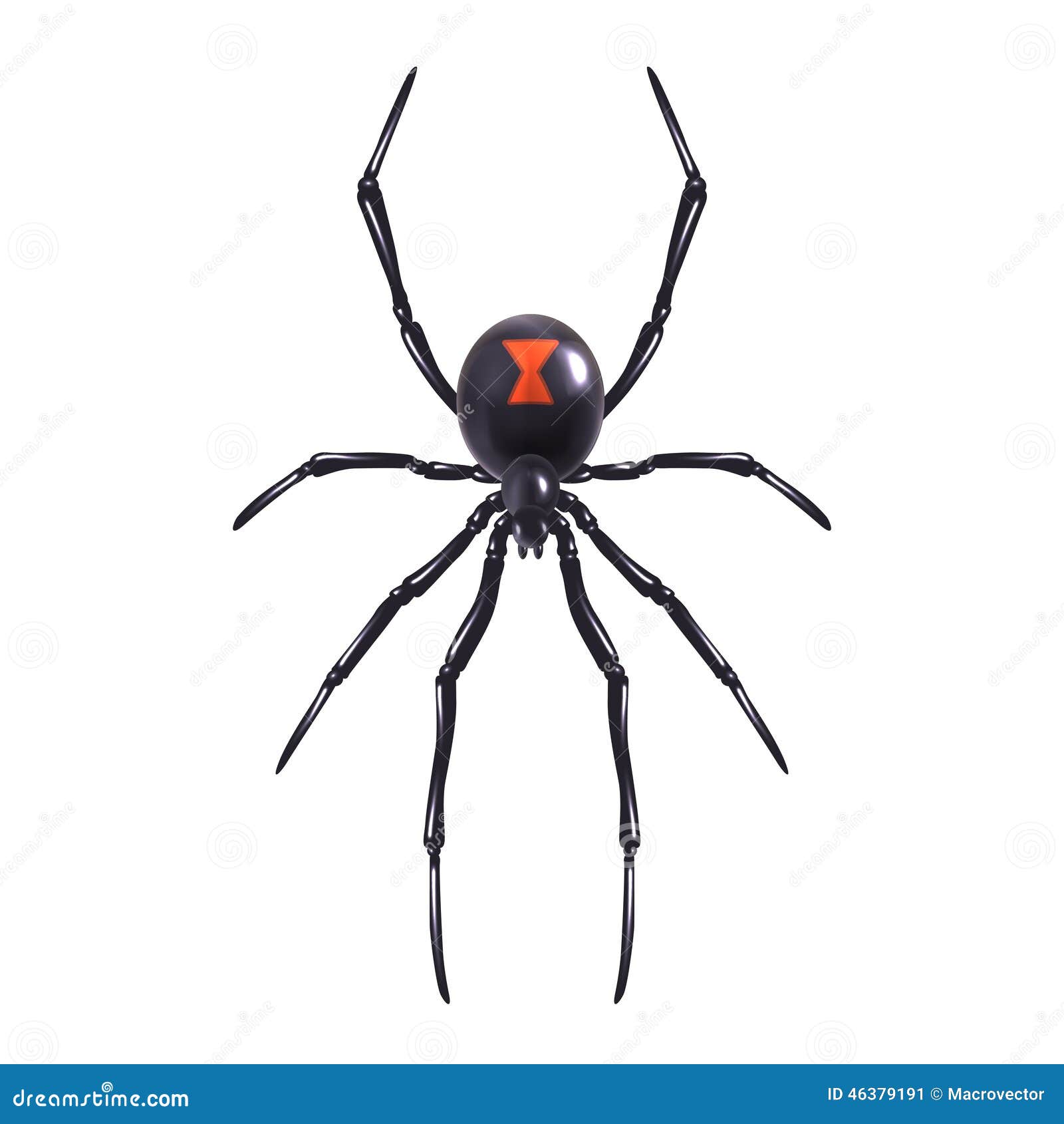 The Redback Spider (Latrodectus Hasselti, Australian Black Widow). Ink ...