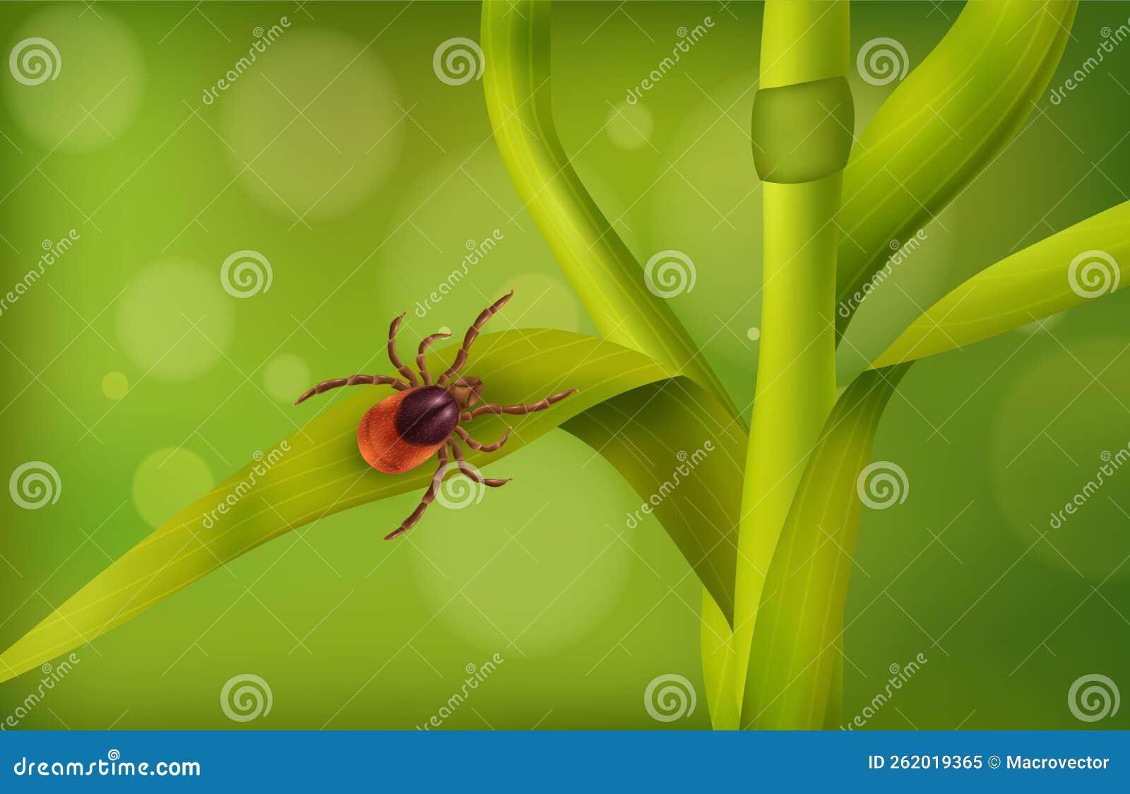 Spider Mite Infestation On A Plants Stem Stock Image | CartoonDealer ...