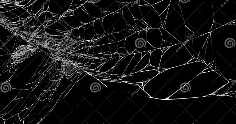 Realistic Spider S Web Black Background Stock Illustration ...