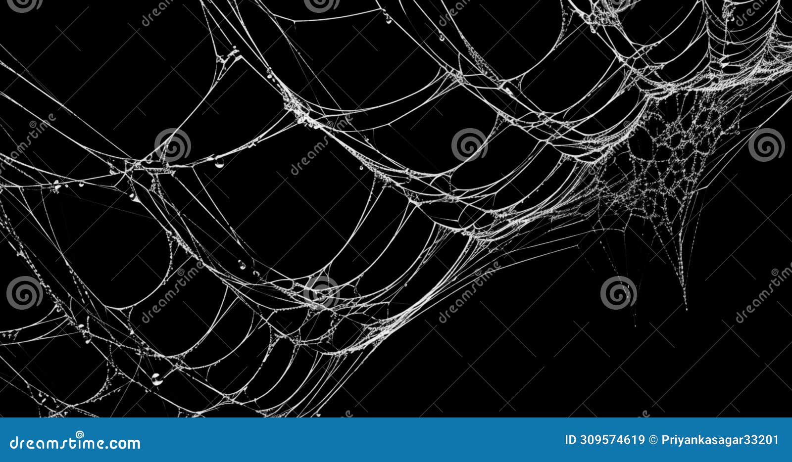 Realistic Spider S Web Black Background Stock Illustration ...