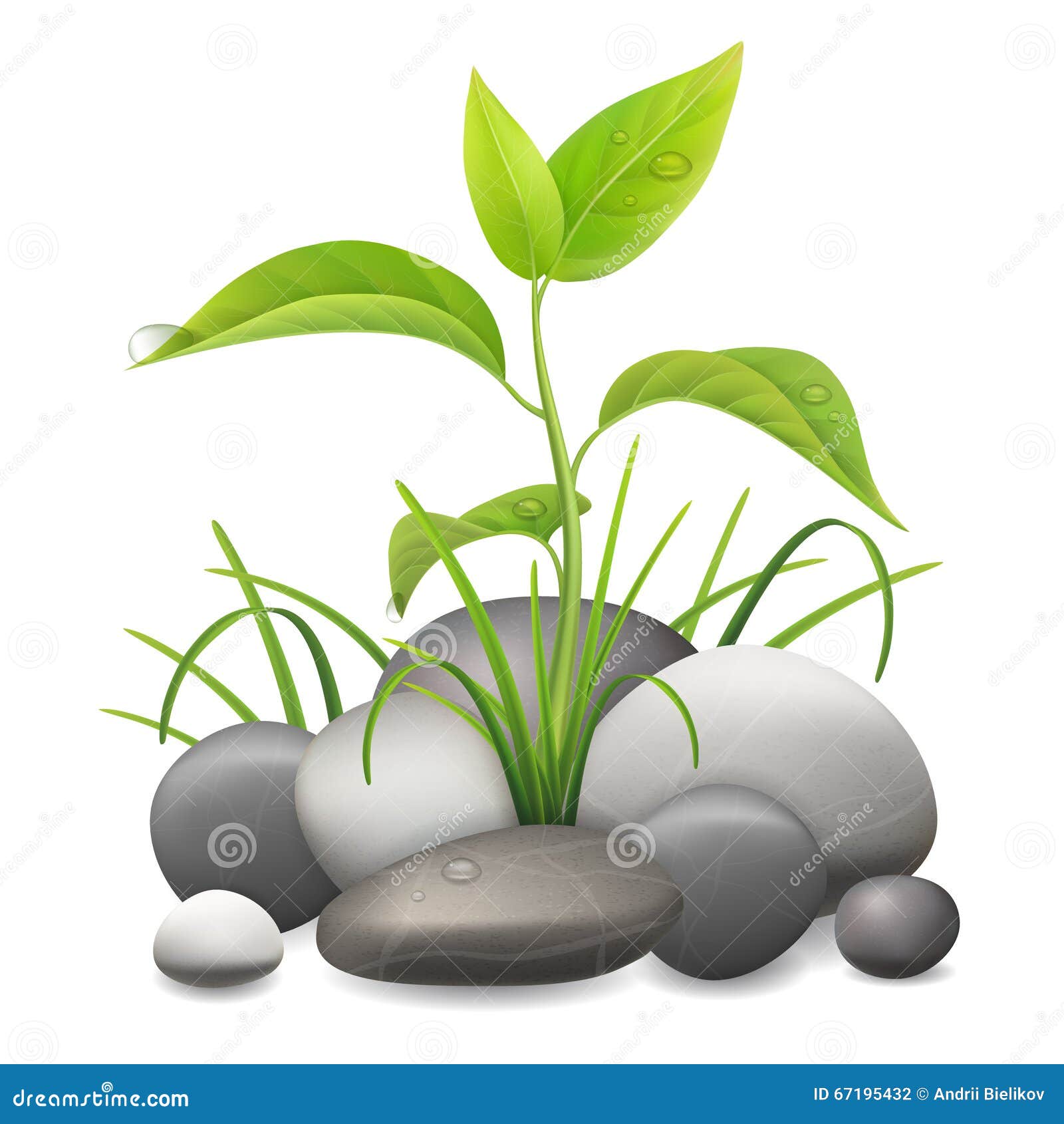 Realistic Sprout Grass and Pebble Stock Illustration - Illustration of ...