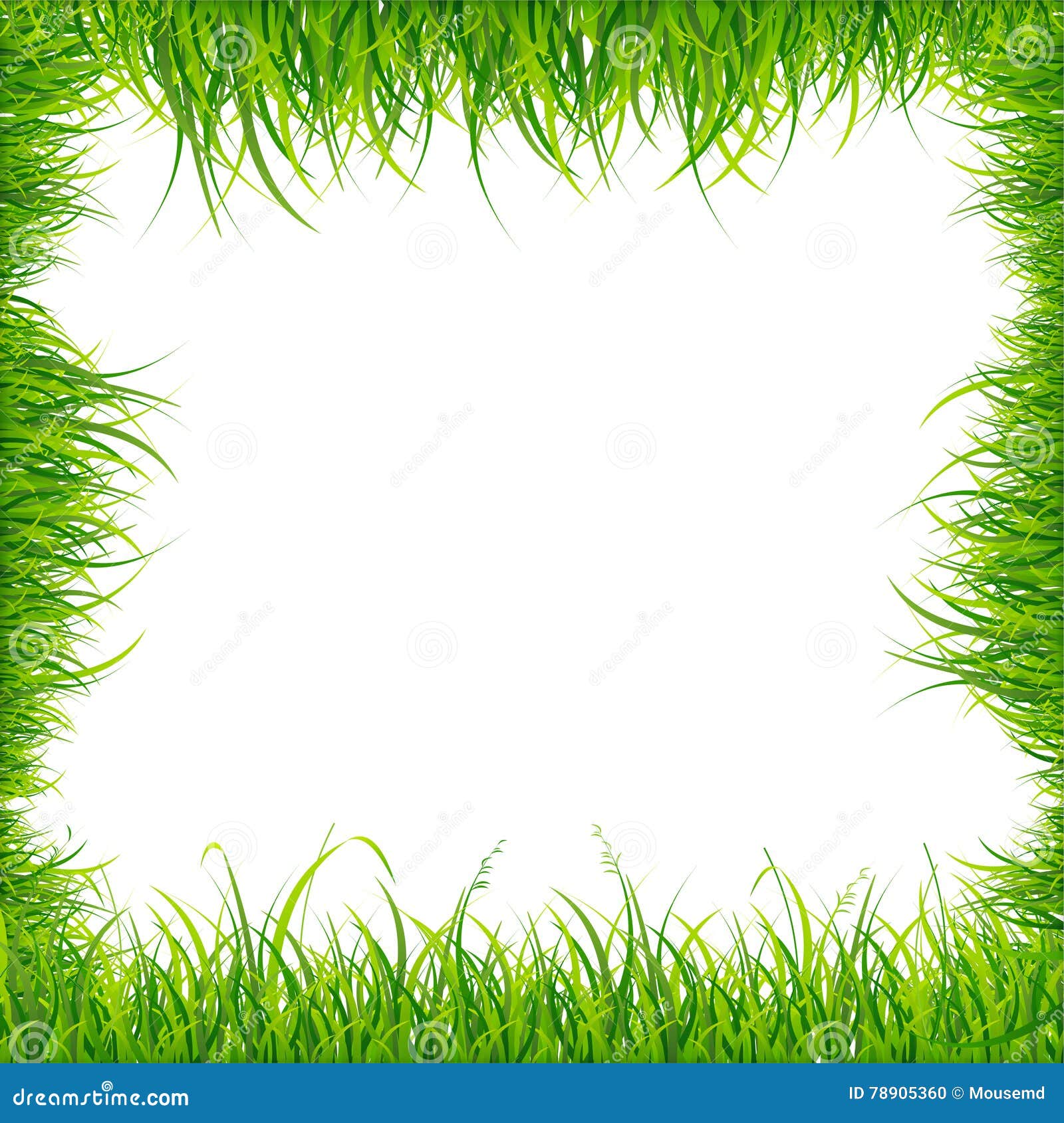 Realistic Square Green Grass Frame. Vector Stock Vector - Illustration ...