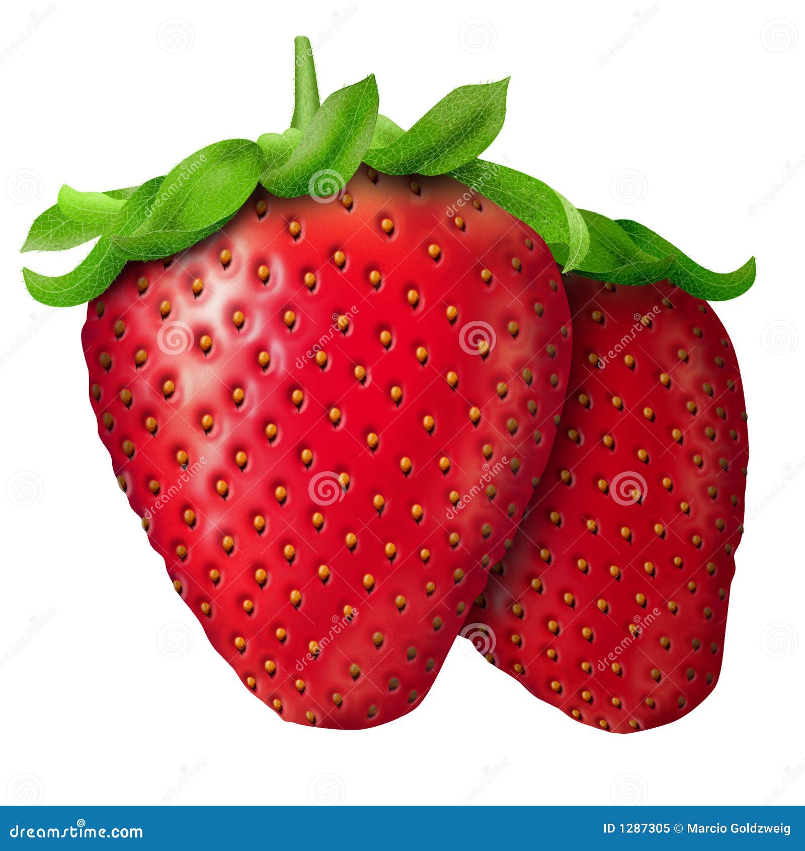 Realistic Strawberry stock illustration. Illustration of artwork - 1287305