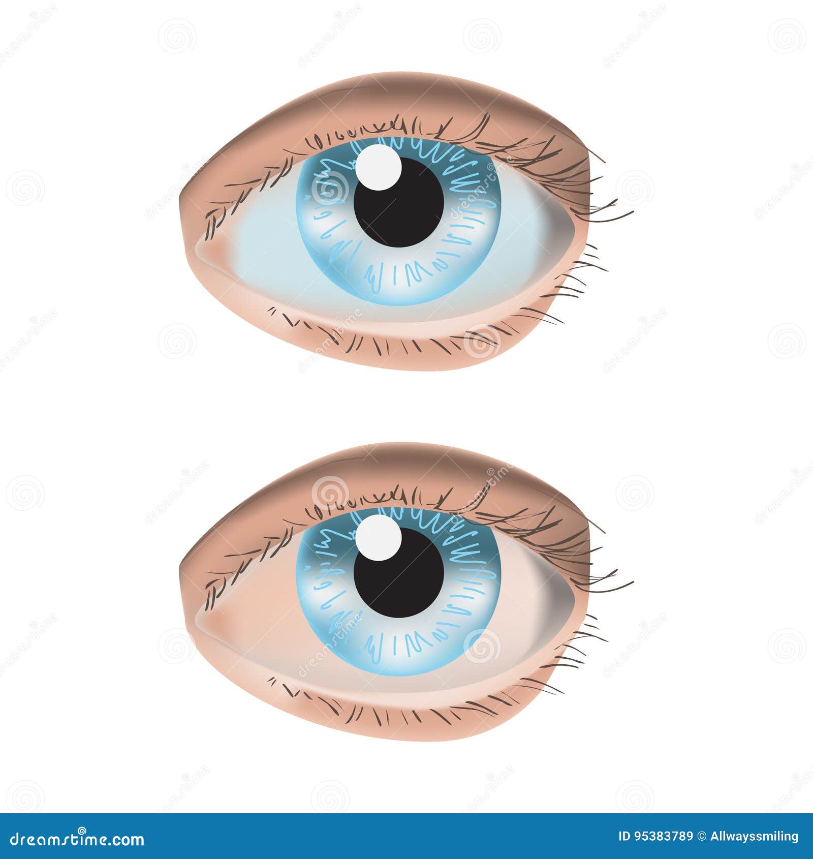 Realistic Style Vector Illustration with 2 Eyes on White Background ...