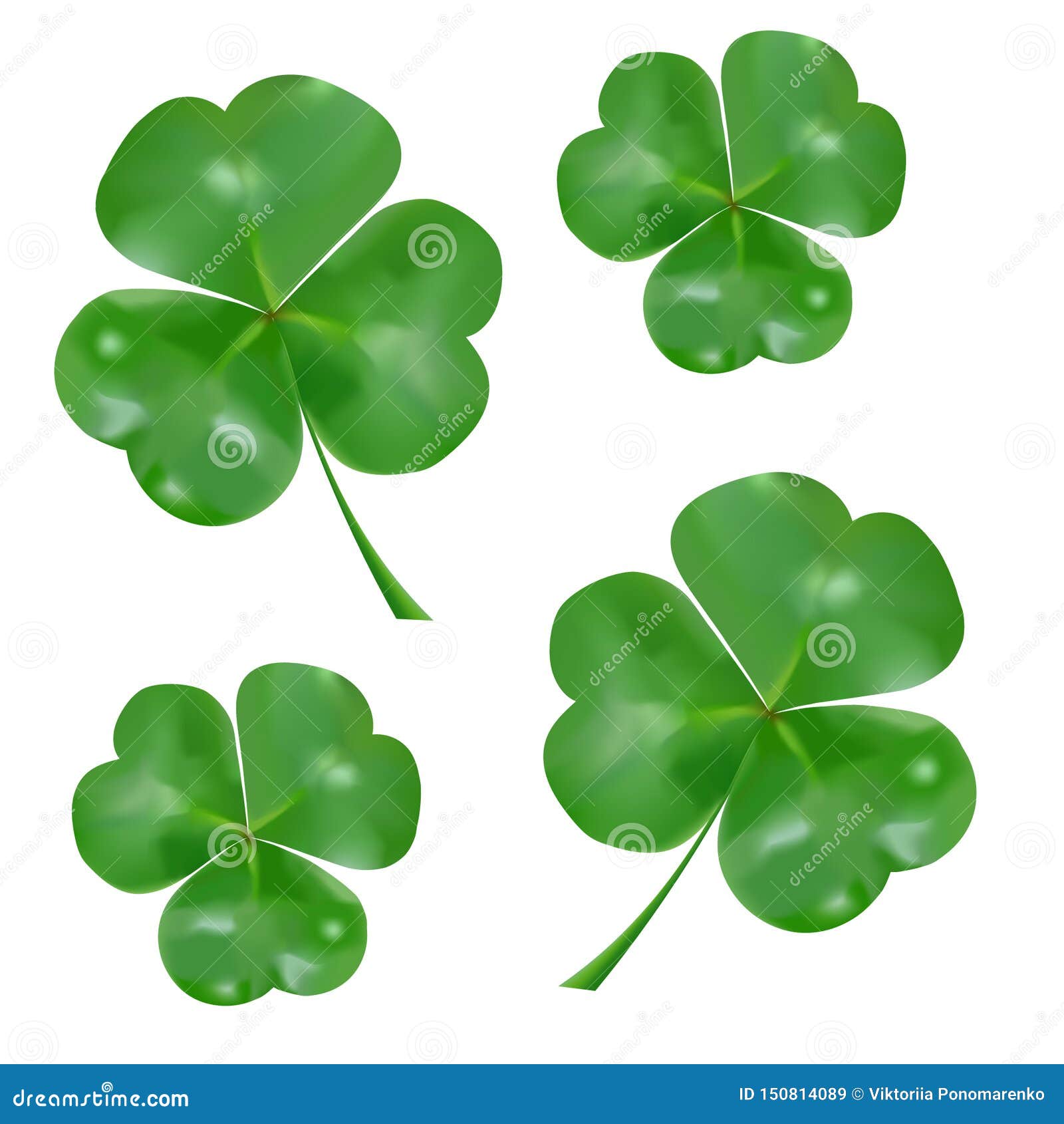 Realistic Three-leaved Shamrock. Symbol of St Stock Vector ...