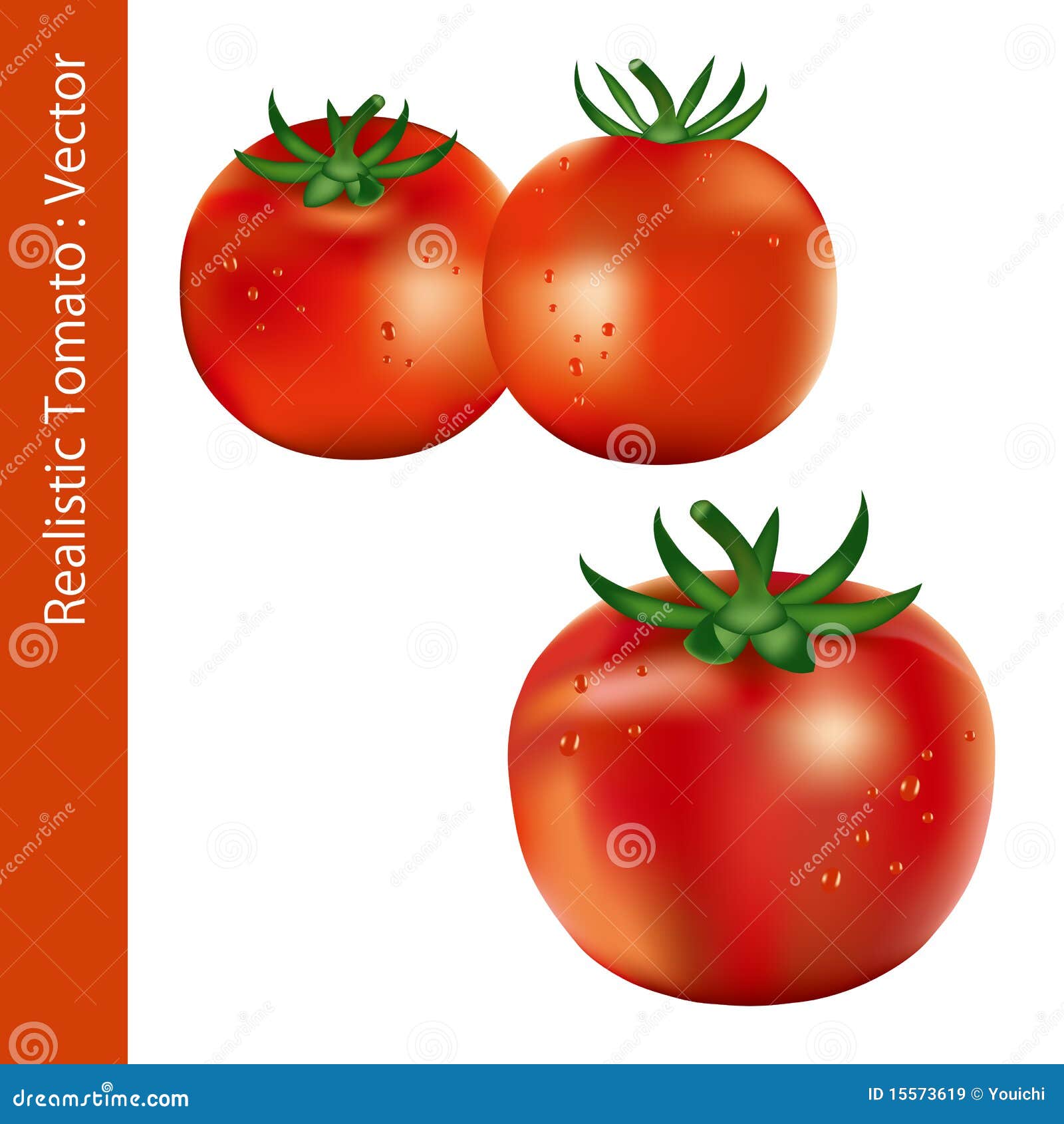 Realistic Tomato stock vector. Illustration of ripe, surface - 15573619