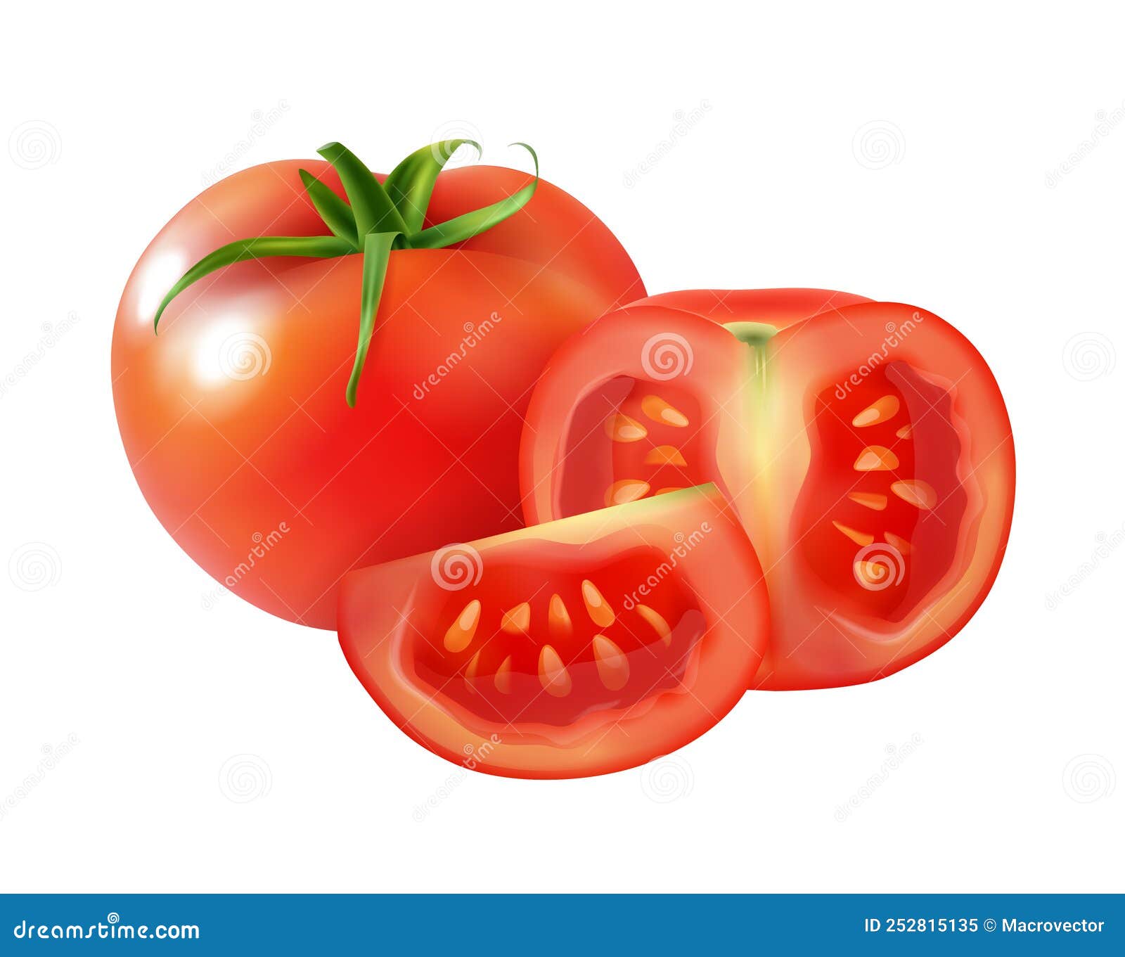 Realistic Tomato Illustration Stock Vector - Illustration of ripe, icon ...