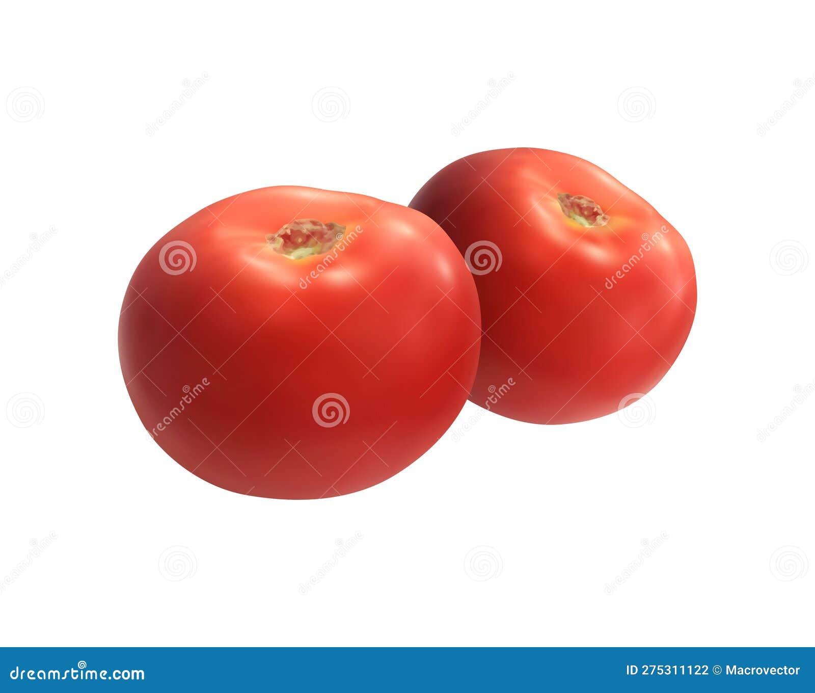 Realistic Tomatoes Illustration Stock Vector - Illustration of juicy ...