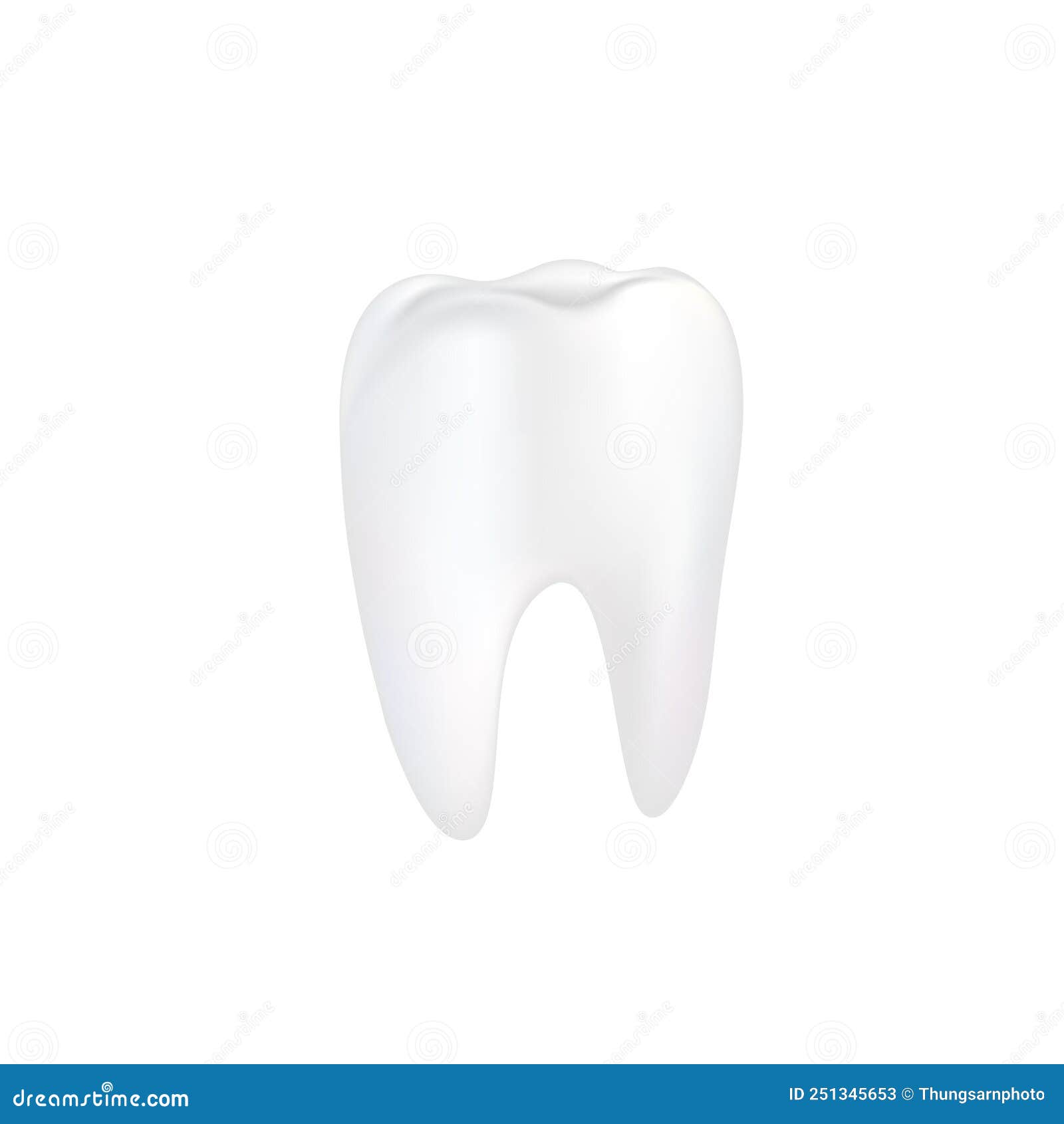 Realistic Tooth on White Background Stock Vector - Illustration of ...