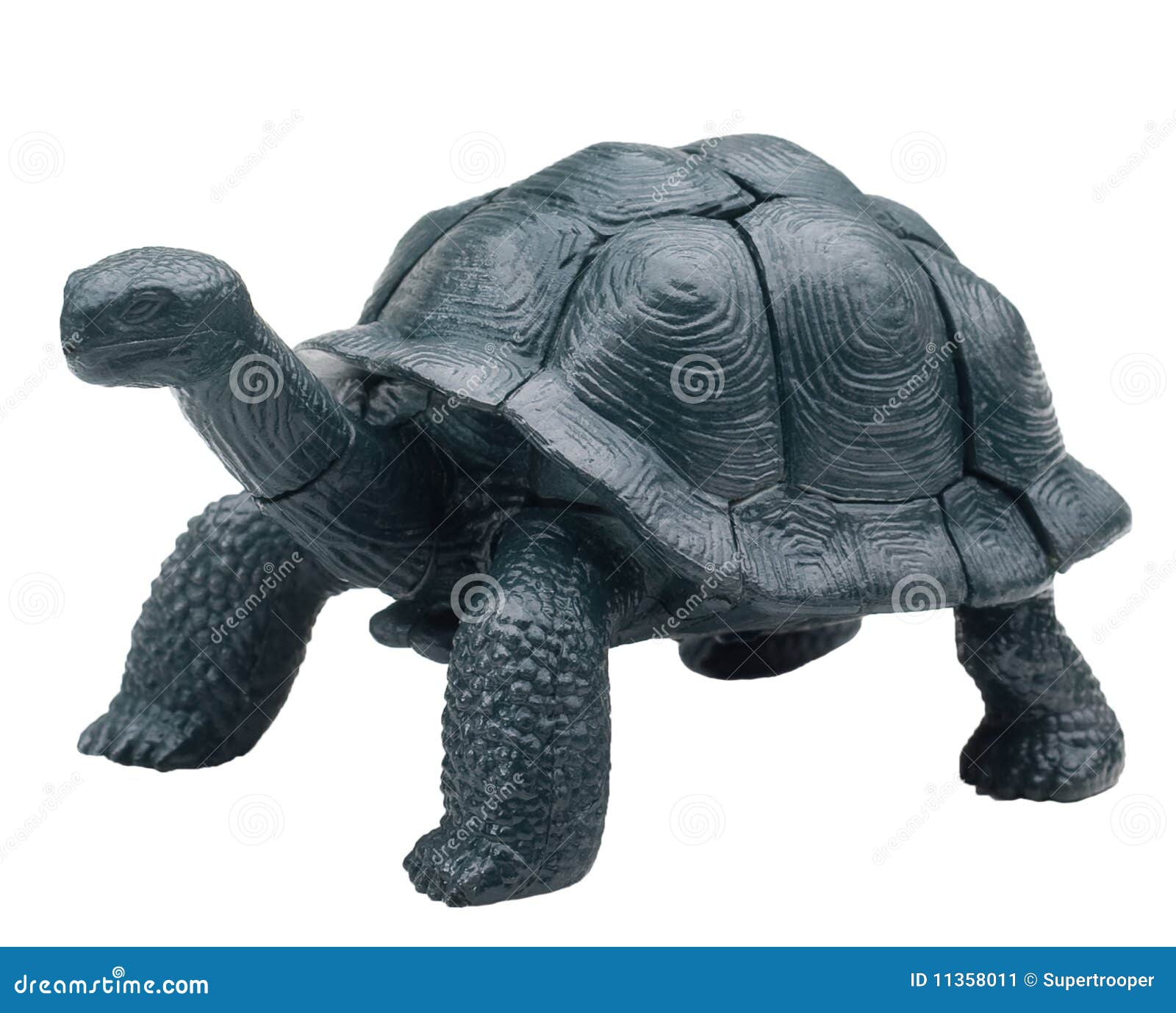 Turtle Realistic Plastic Toy Royalty-Free Stock Photo | CartoonDealer ...