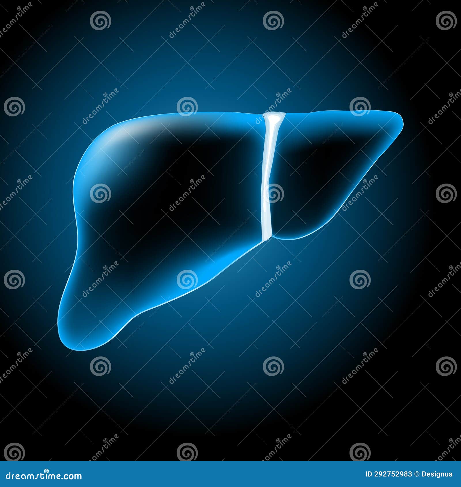 Realistic Transparent Blue Liver on Dark Background Stock Illustration ...