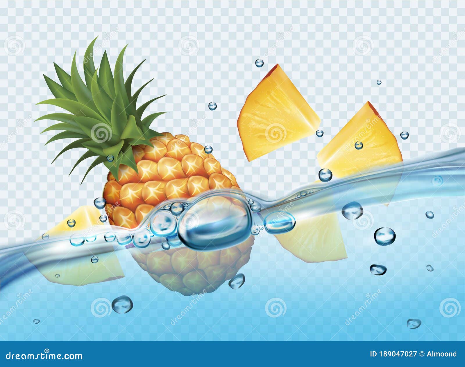 Realistic Transparent Isolated Vector with Slices of Pineapple in Water ...