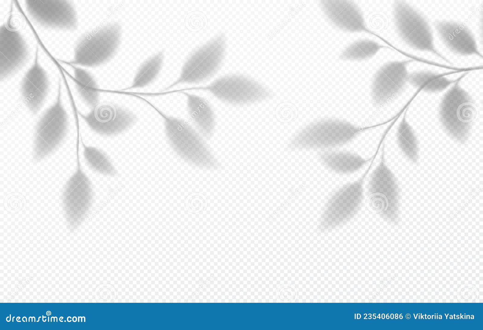 Realistic Transparent Shadow Of A Tree Branch With Leaves Isolated On A ... Realistic Transparent Shadow Of A Tree Branch With Leaves Isolated On A ...
