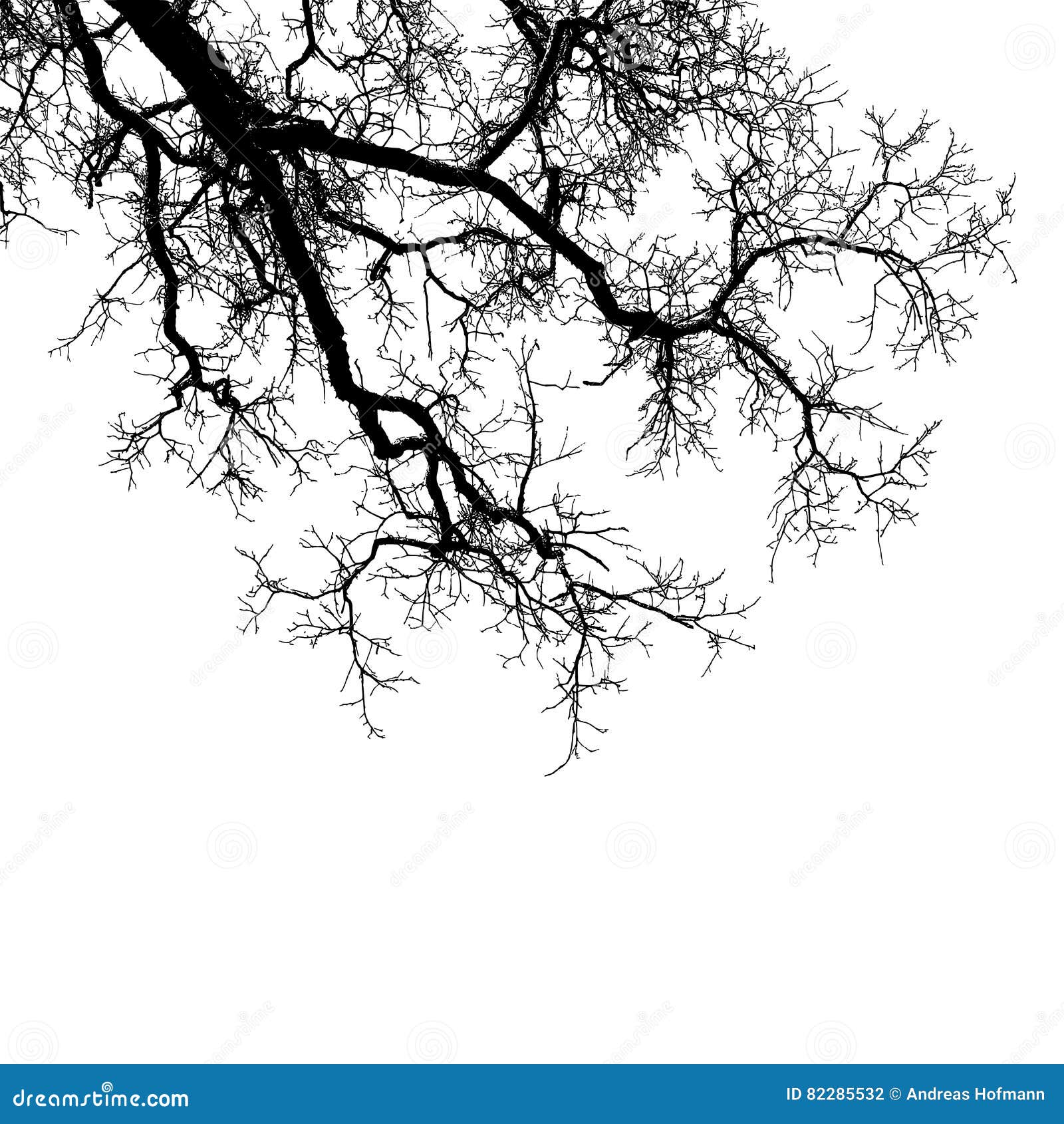 Realistic Tree Branches Silhouette Vector Illustration.Eps10 Stock ...