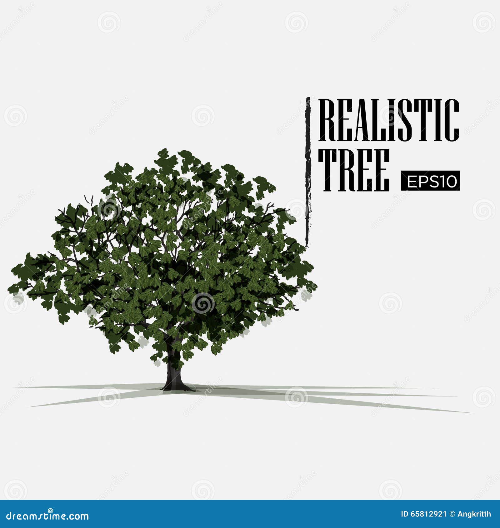 Realistic tree - stock illustration. Illustration of summer - 65812921