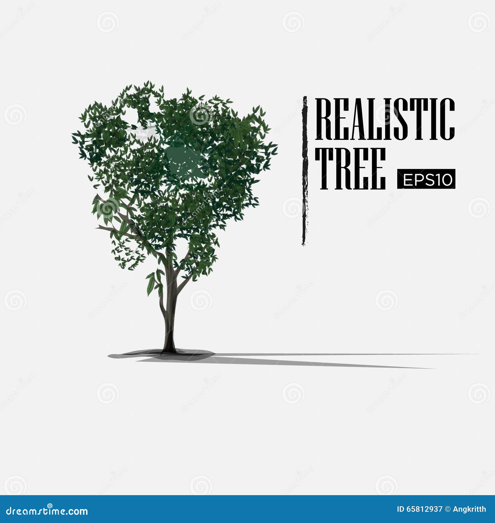 Realistic tree - stock illustration. Illustration of stem - 65812937