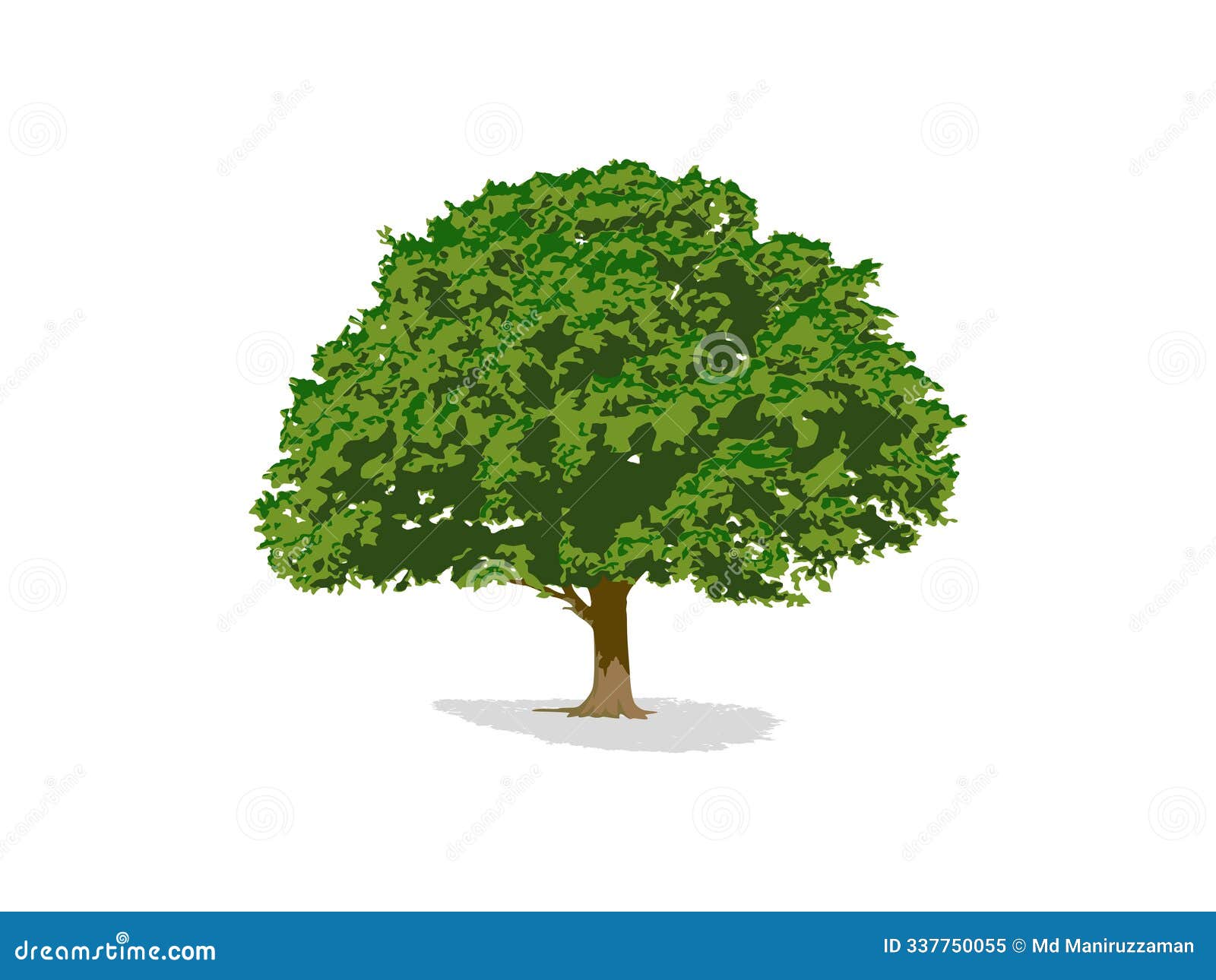 Realistic Trees On Transparent Background. 3d Rendering - Illustration ...