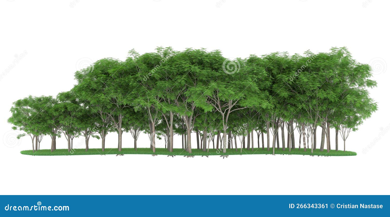 Realistic Trees on Transparent Background. 3d Rendering - Illustration ...