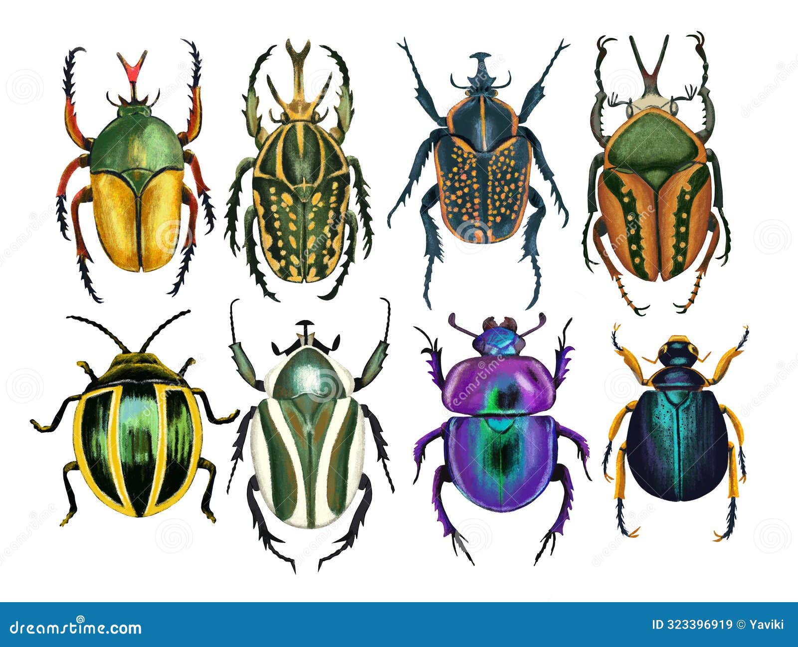 Realistic Tropical Bug Illustration Set on White Stock Illustration ...