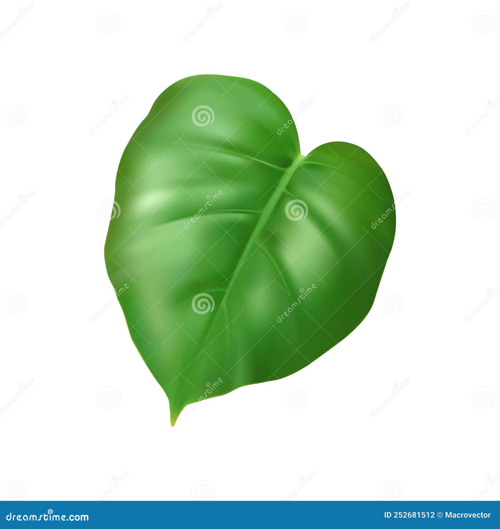 Realistic Tropical Leaf Composition Stock Vector - Illustration of ...