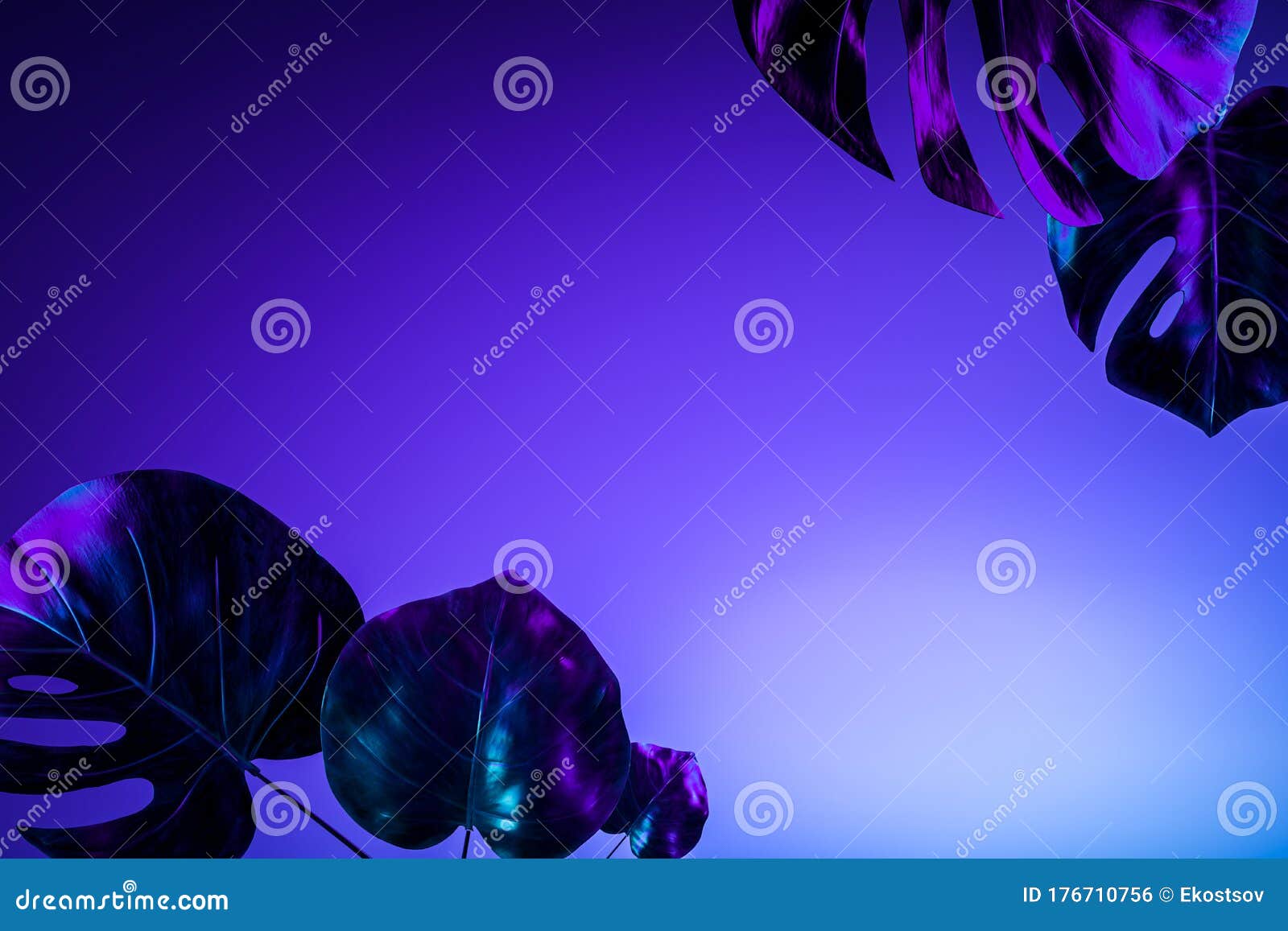 Realistic Tropical Multicolored Gradient Plant Leaves. 3D Rendering ...